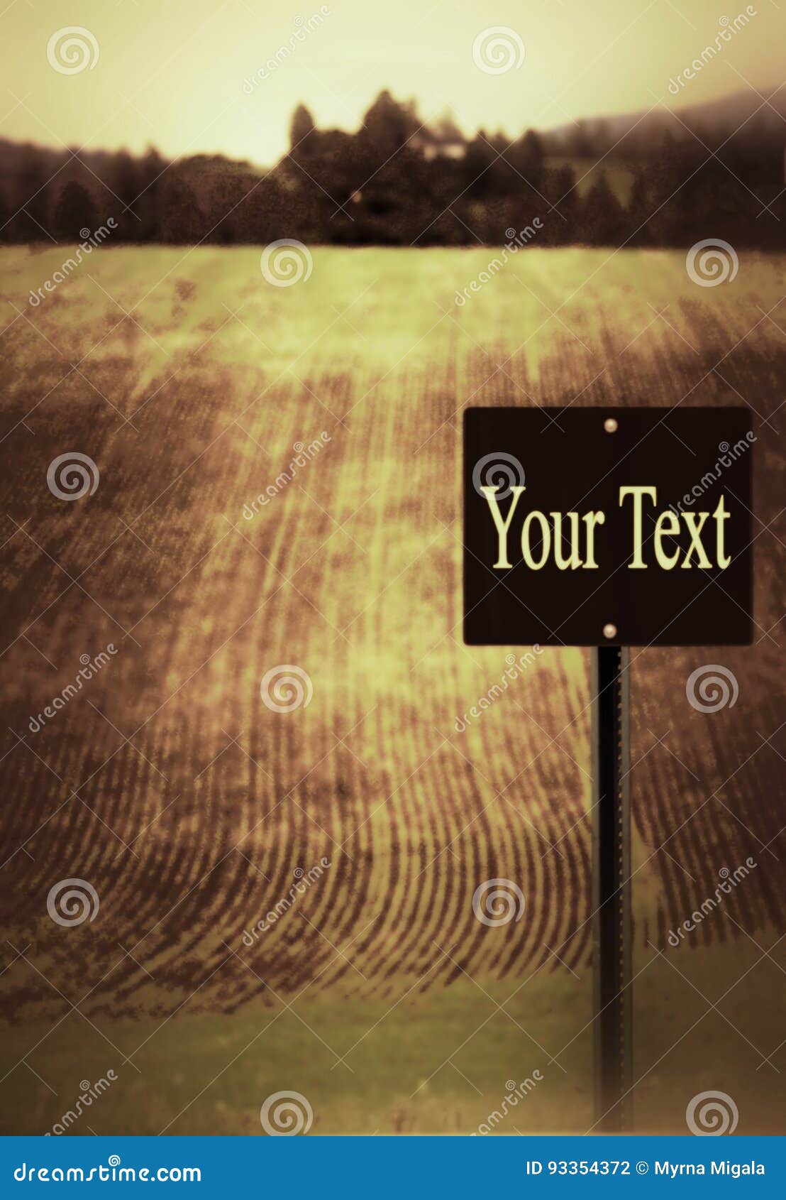 Open Land with Signpost stock photo. Image of soft, space - 93354372