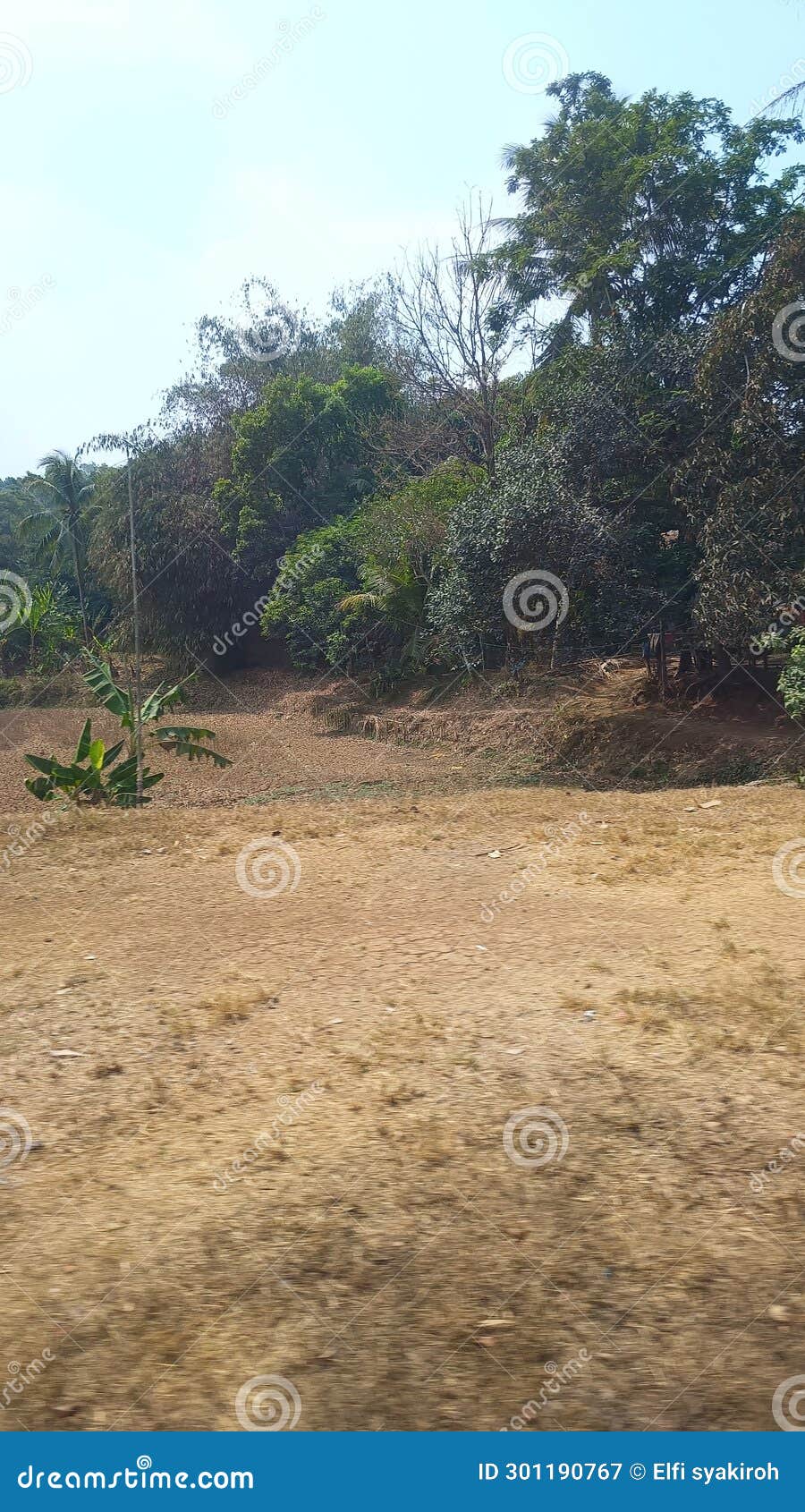 Open Land on the Slopes of a Mountain with Trees that Grow Abundantly ...
