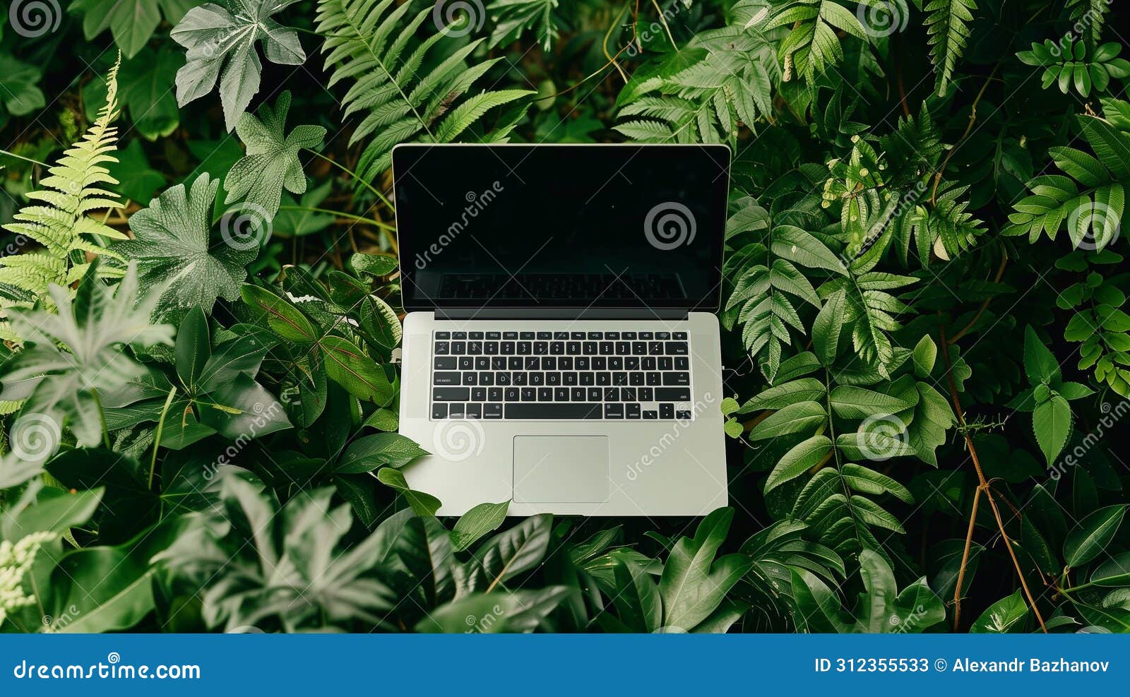 Open laptop among plants stock illustration. Illustration of ...