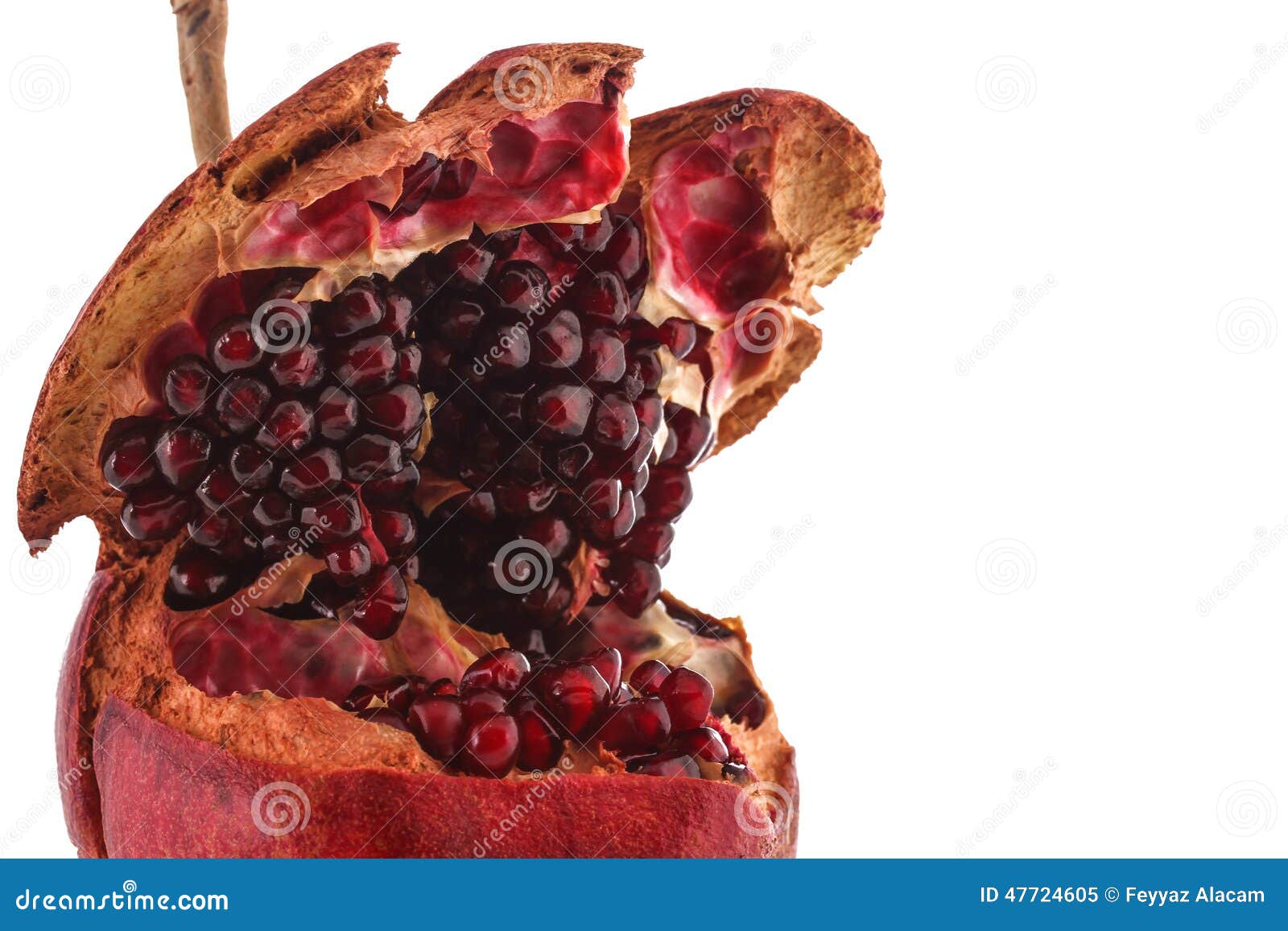 Open and Macro Pomegranate stock image. Image of nature - 47724605