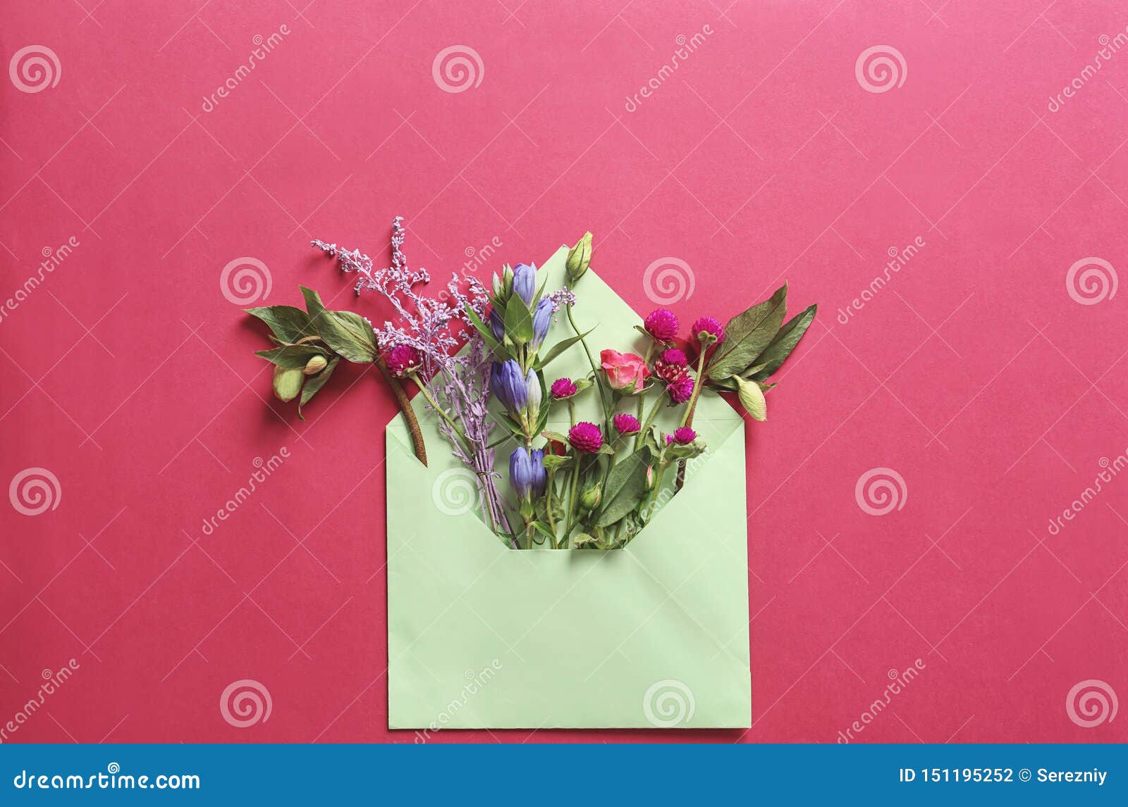 Open Mail Envelope with Flowers on Color Background Stock Photo - Image ...