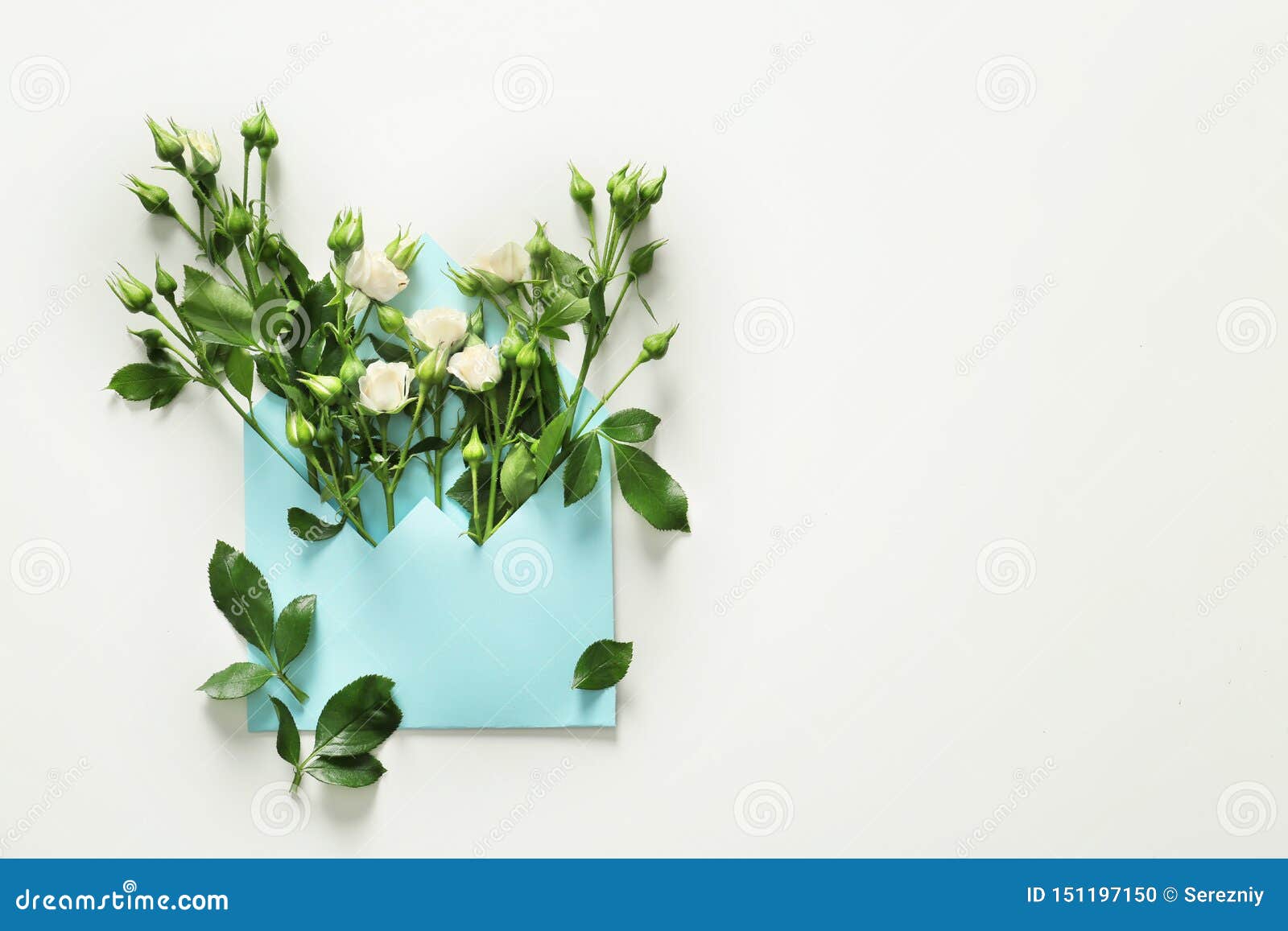 Open Mail Envelope with Rose Flowers on White Background Stock Photo ...