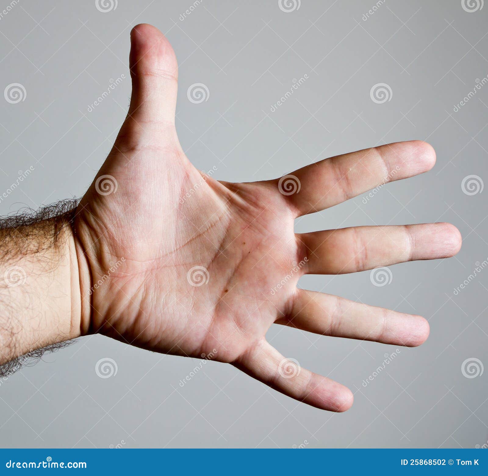 Open Male Hand Showing Palm and Open Fingers Stock Photo - Image of ...