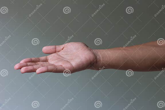 Open man hand stock photo. Image of health, body, finger - 47917806