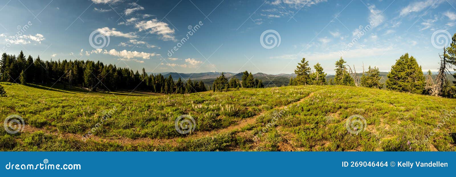 Open Meadow on the Top of Crater Peak Stock Photo - Image of hiking ...