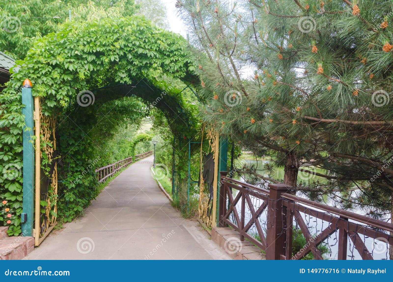 Open metal gate in park stock photo. Image of perspective - 149776716