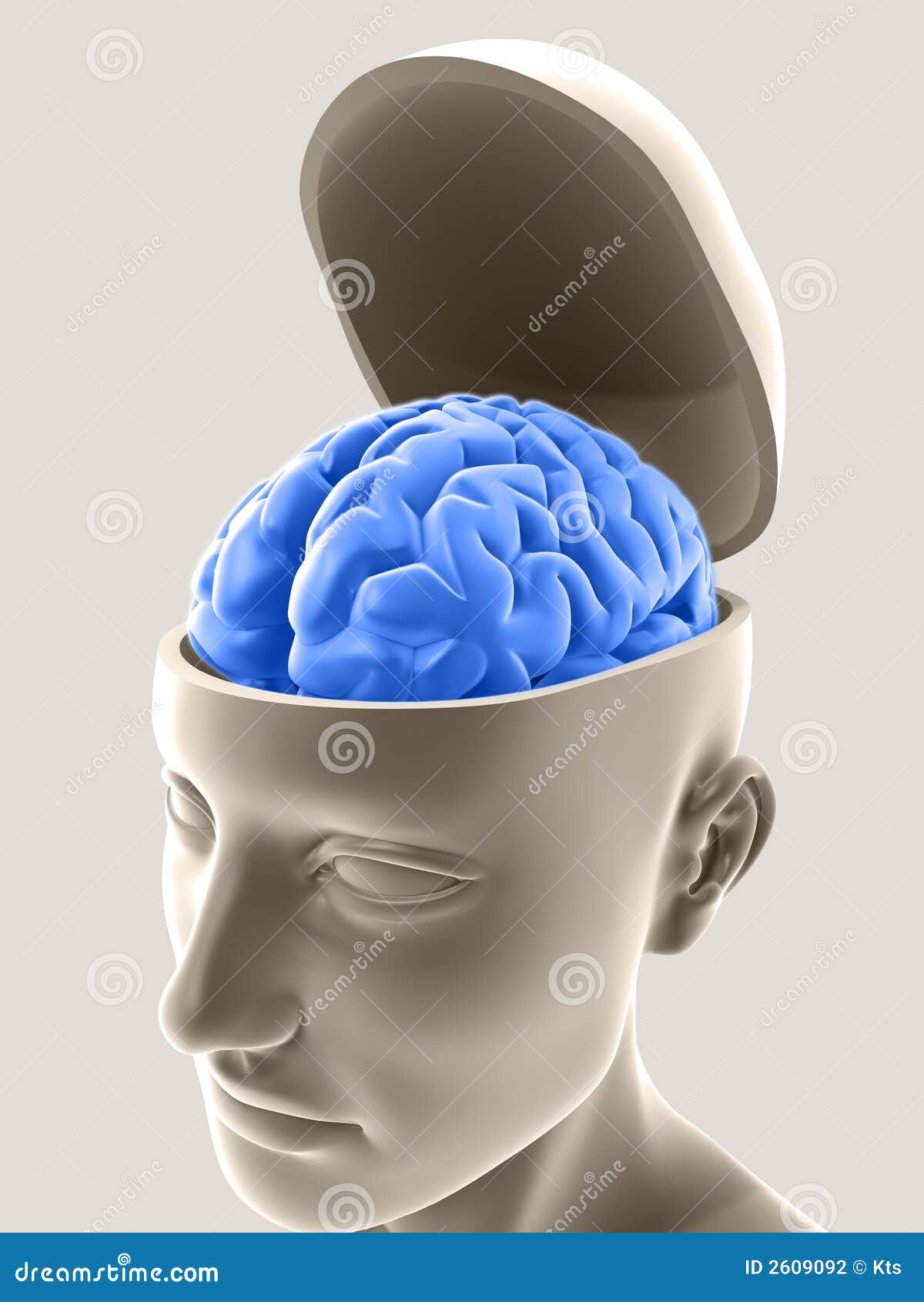 Open Mind stock illustration. Illustration of head, brainstorm - 2609092