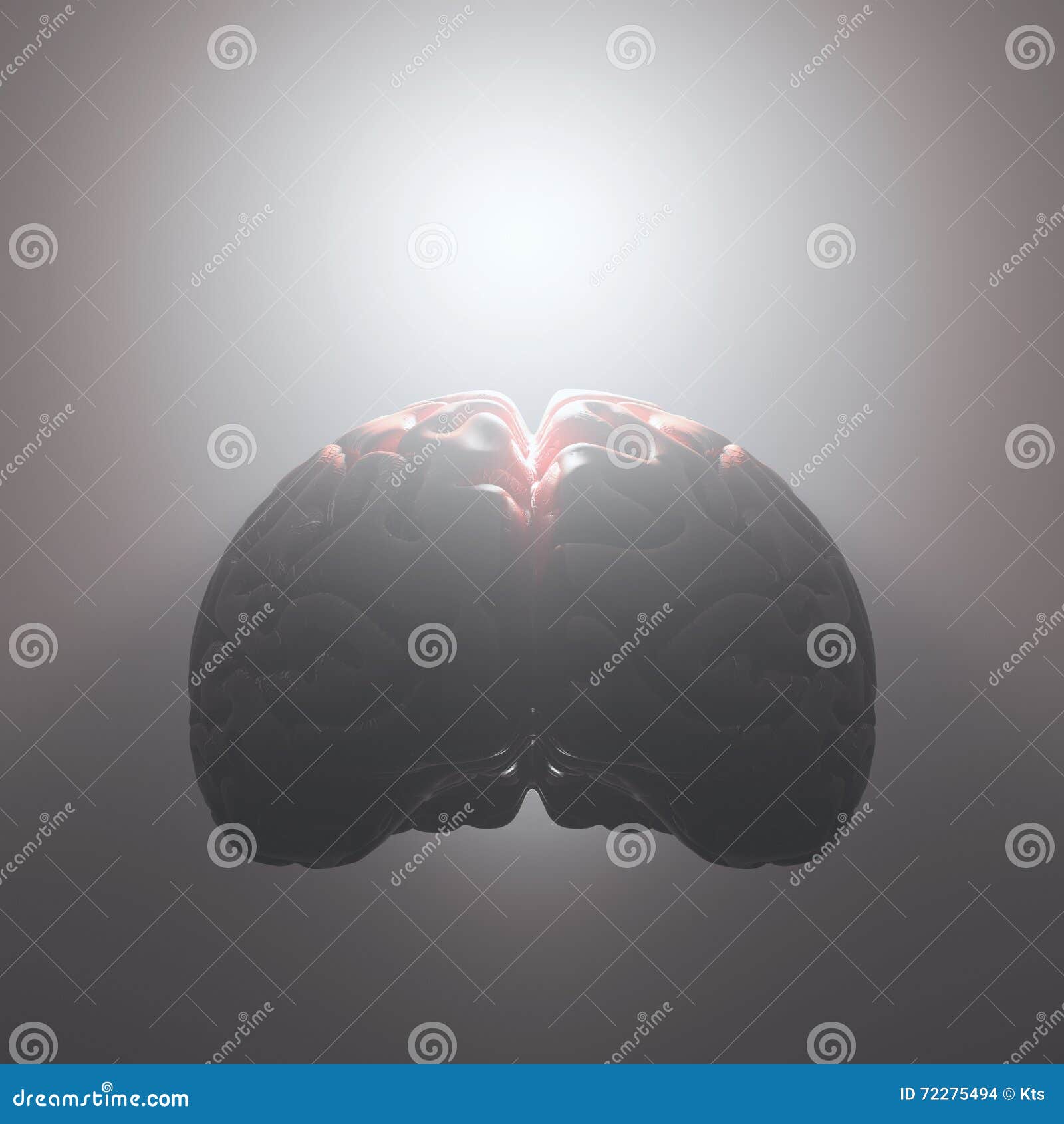 Open Mindedness stock illustration. Illustration of creativity - 72275494