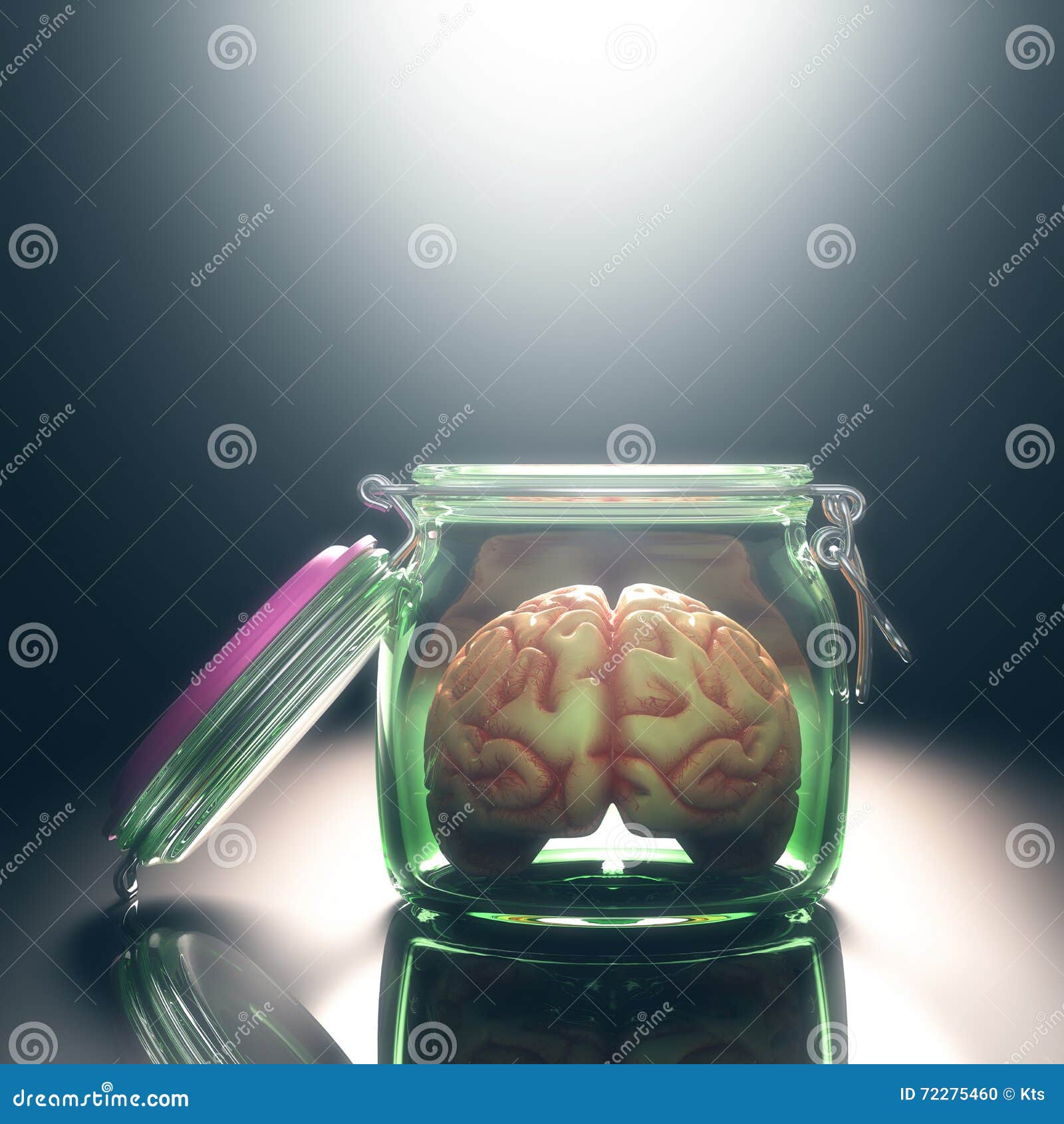 Open Mindedness stock photo. Image of science, minded - 72275460