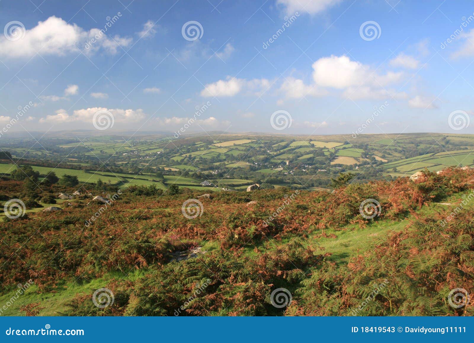 Open Moorland from Bonehill Down Stock Image - Image of nature, bracken ...