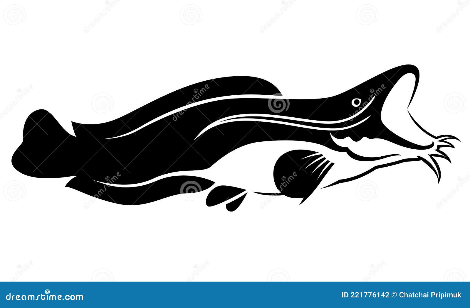 Black Catfish Isolated On White - Graflex Speed Graphic Style Stock ...