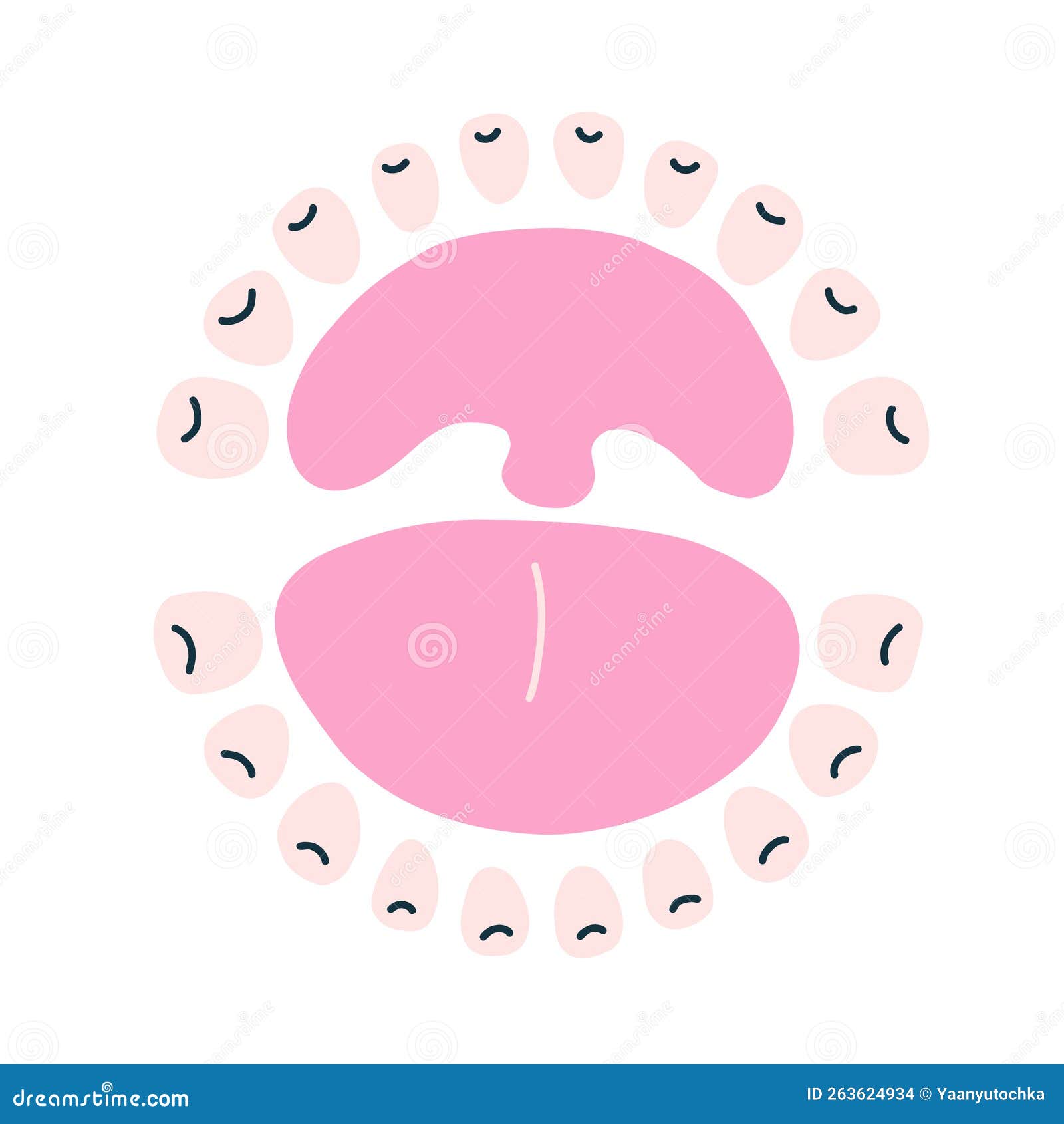 Open Mouth Palate with Upper and Lower Row of Teeth Stock Vector ...