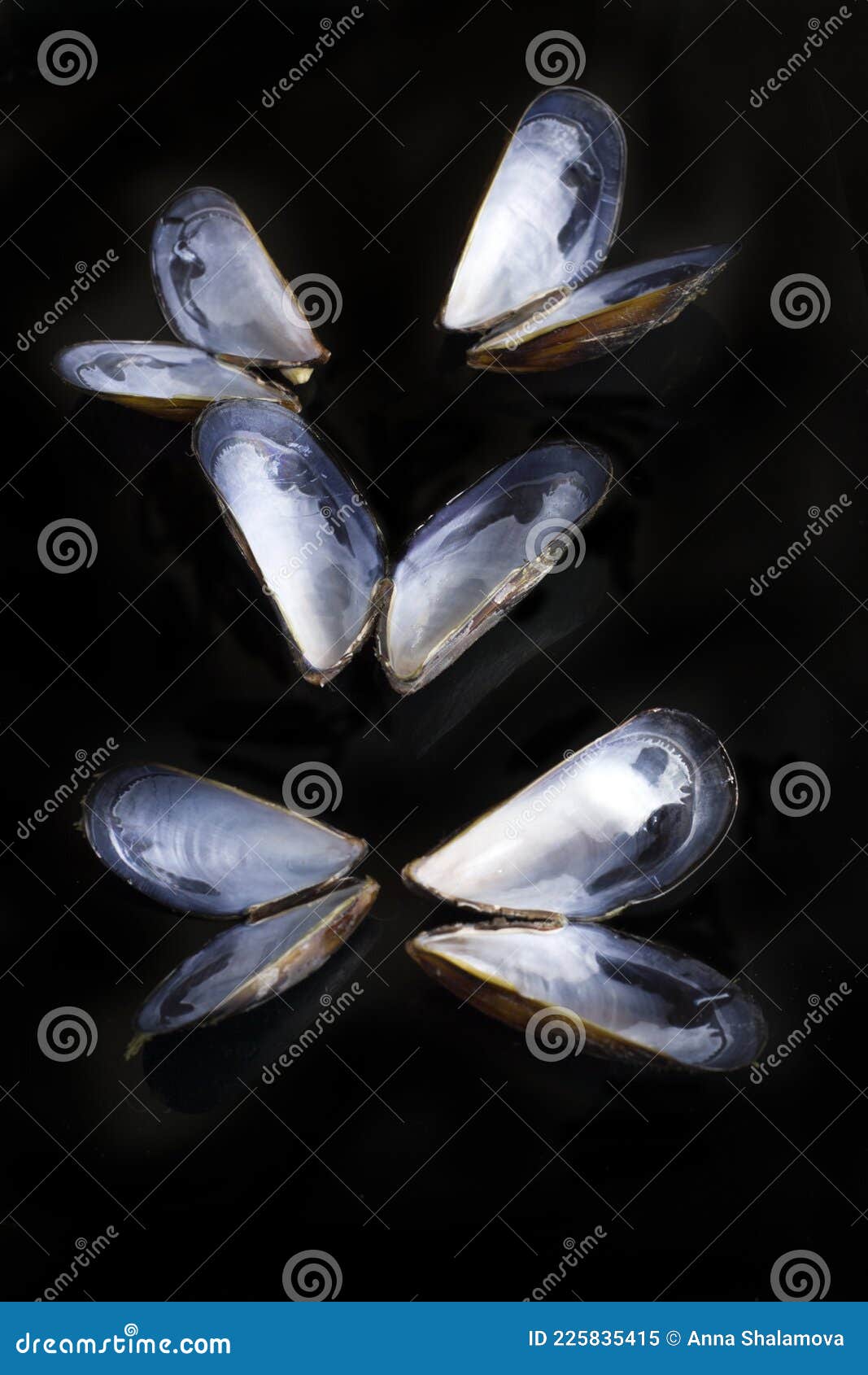 Open Mussel Shells On Sand Stock Image | CartoonDealer.com #129258895