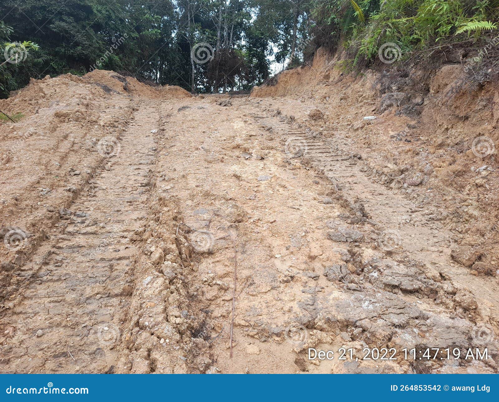Opening the New Hauling Road at Sandstome Mining in Kalimantan ...