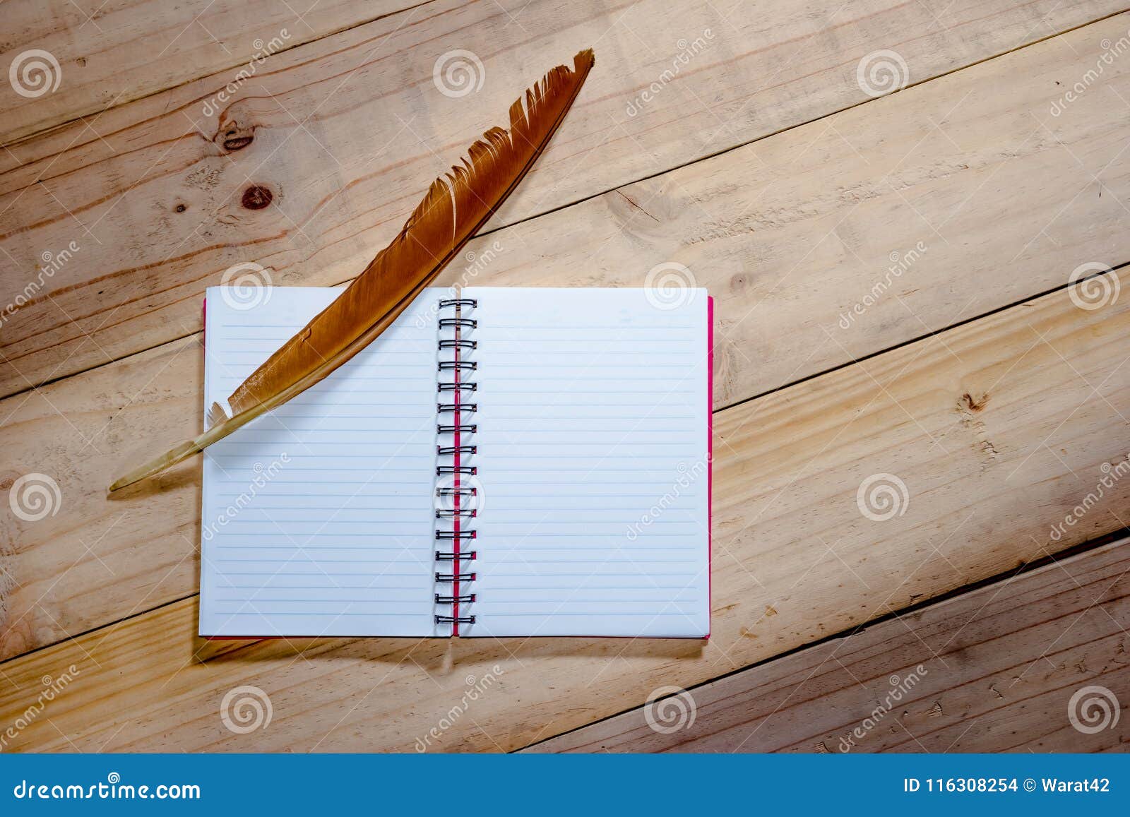 Open Note Book with Feather Pen Stock Photo - Image of business ...