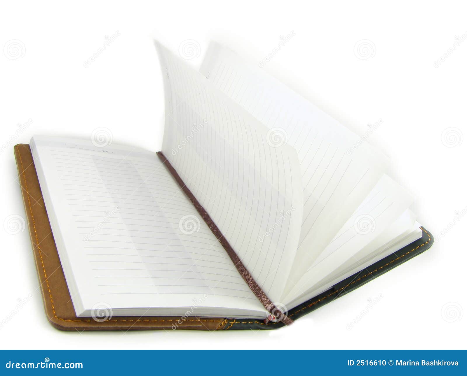 The Open Notebook. Picture Image: 2516610
