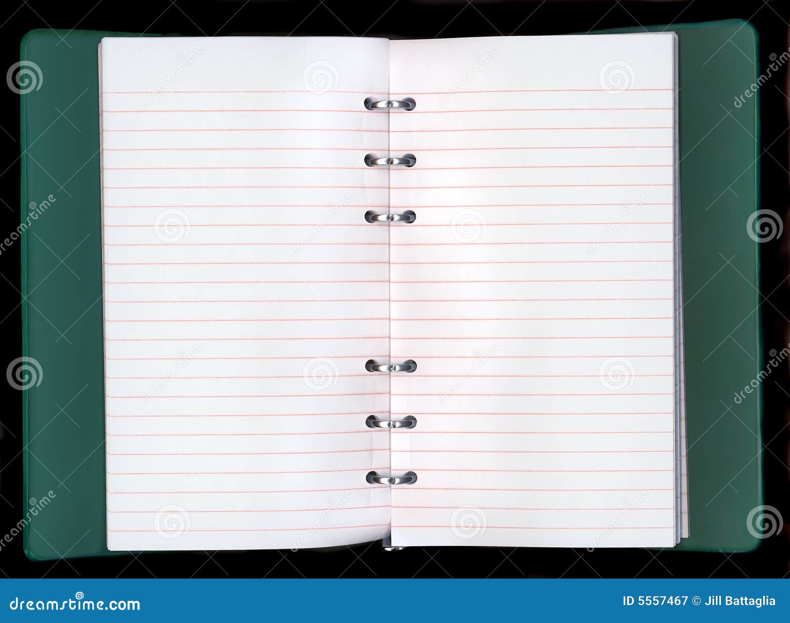 Open Notebook stock image. Image of blank, rings, notebook - 5557467