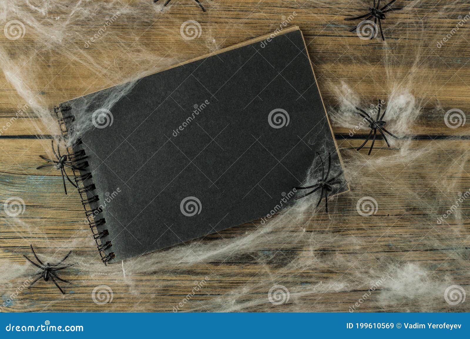 Open Notebook with Blank Black Pages, Spider Web and Black Spiders on a ...