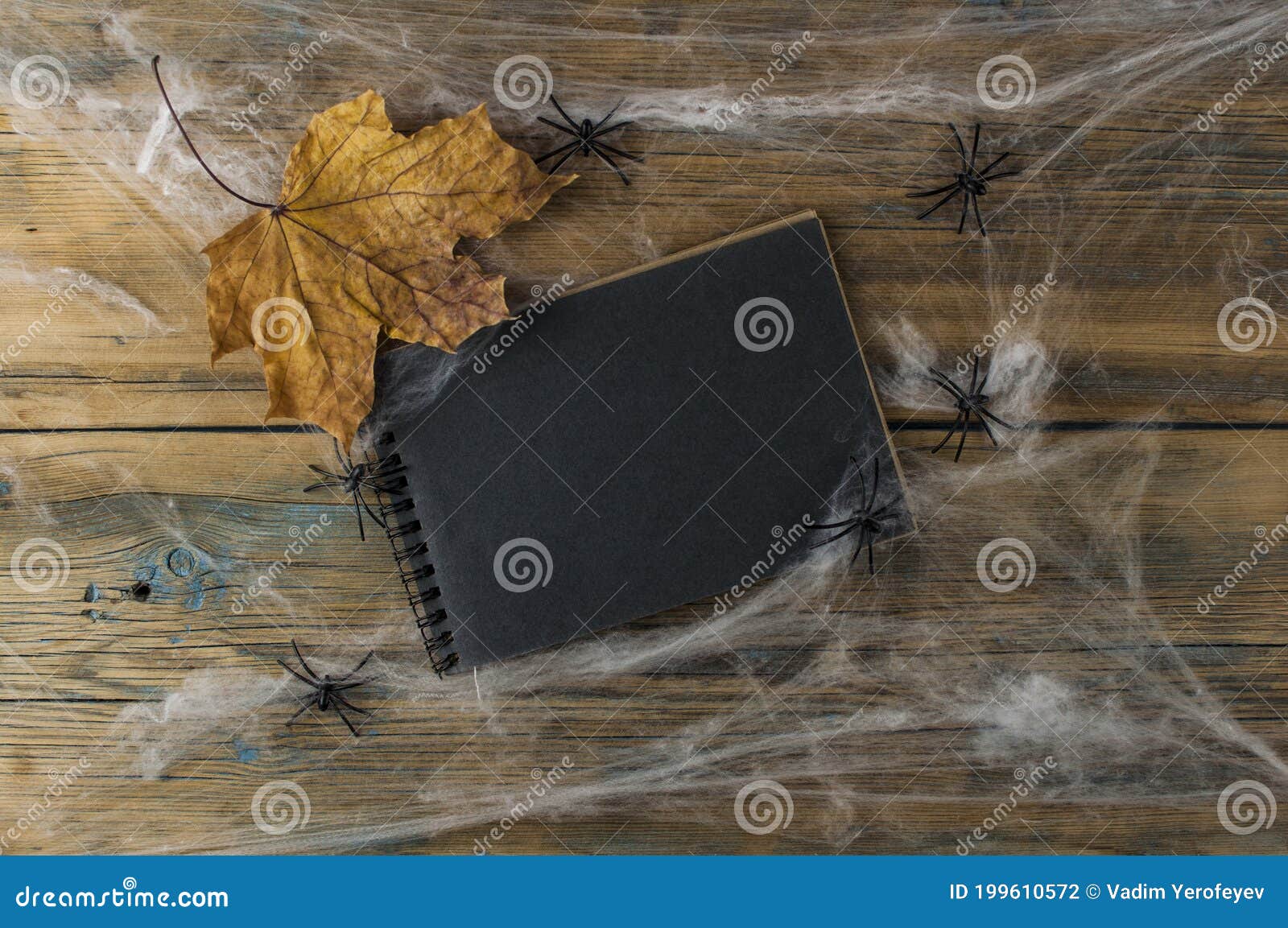 Open Notebook with Blank Black Pages, Spider Web and Black Spiders on a ...