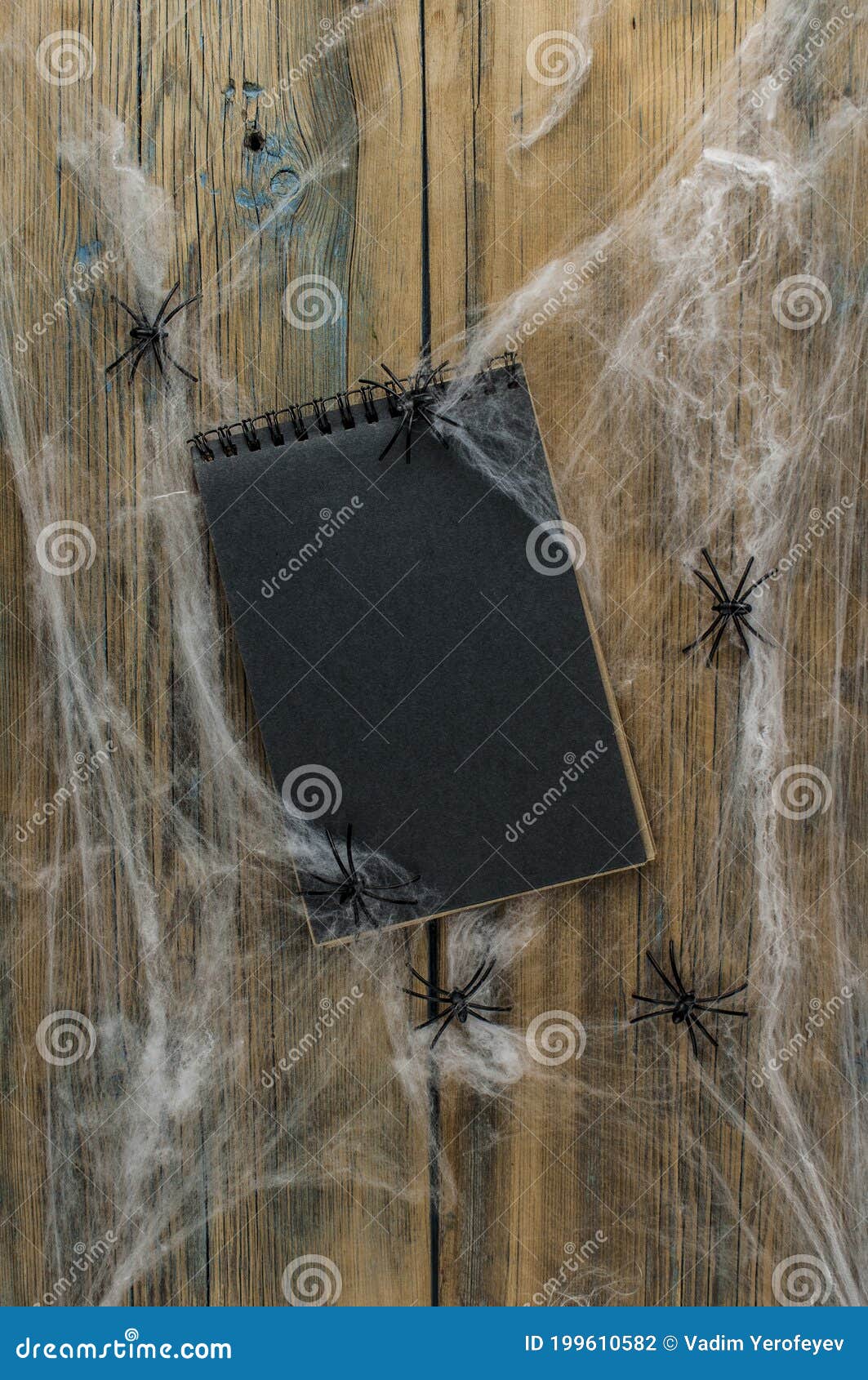 Open Notebook with Blank Black Pages, Spider Web and Black Spiders on a ...