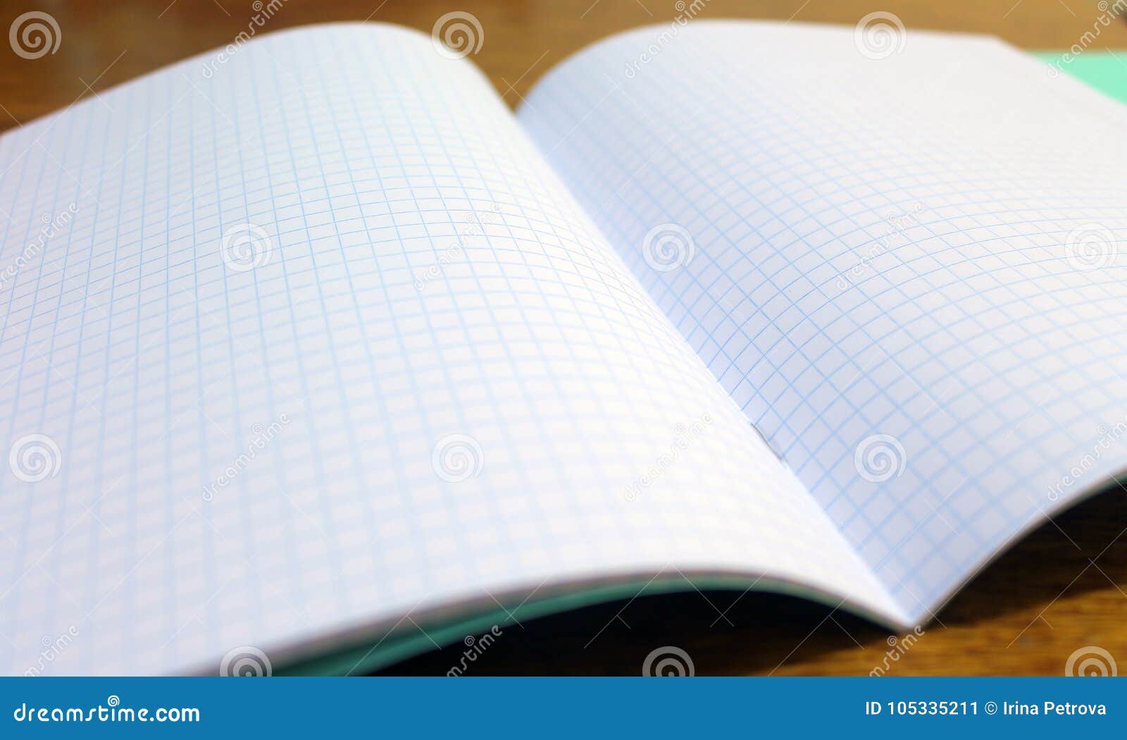 Open the Notebook in a Cage Stock Image - Image of artistic, business ...