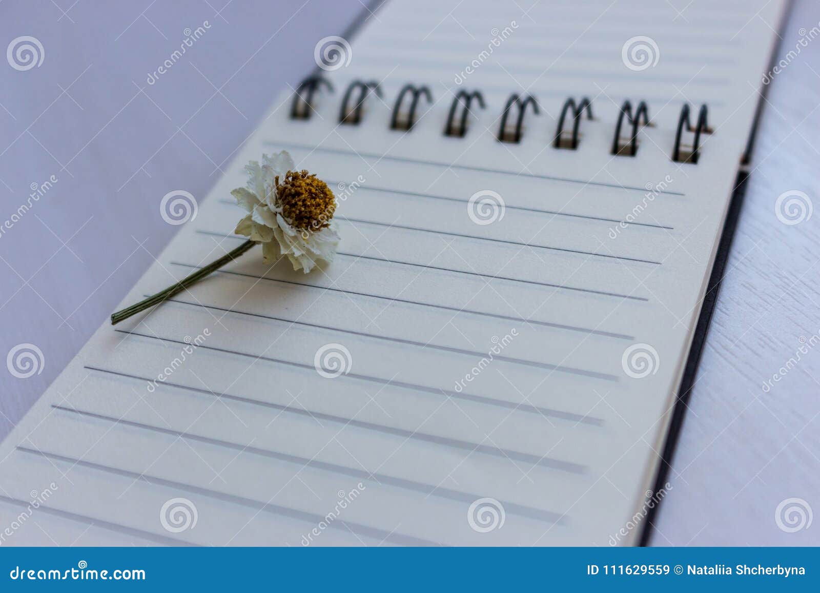 Writing Pad Background Stock Image | CartoonDealer.com #71541229