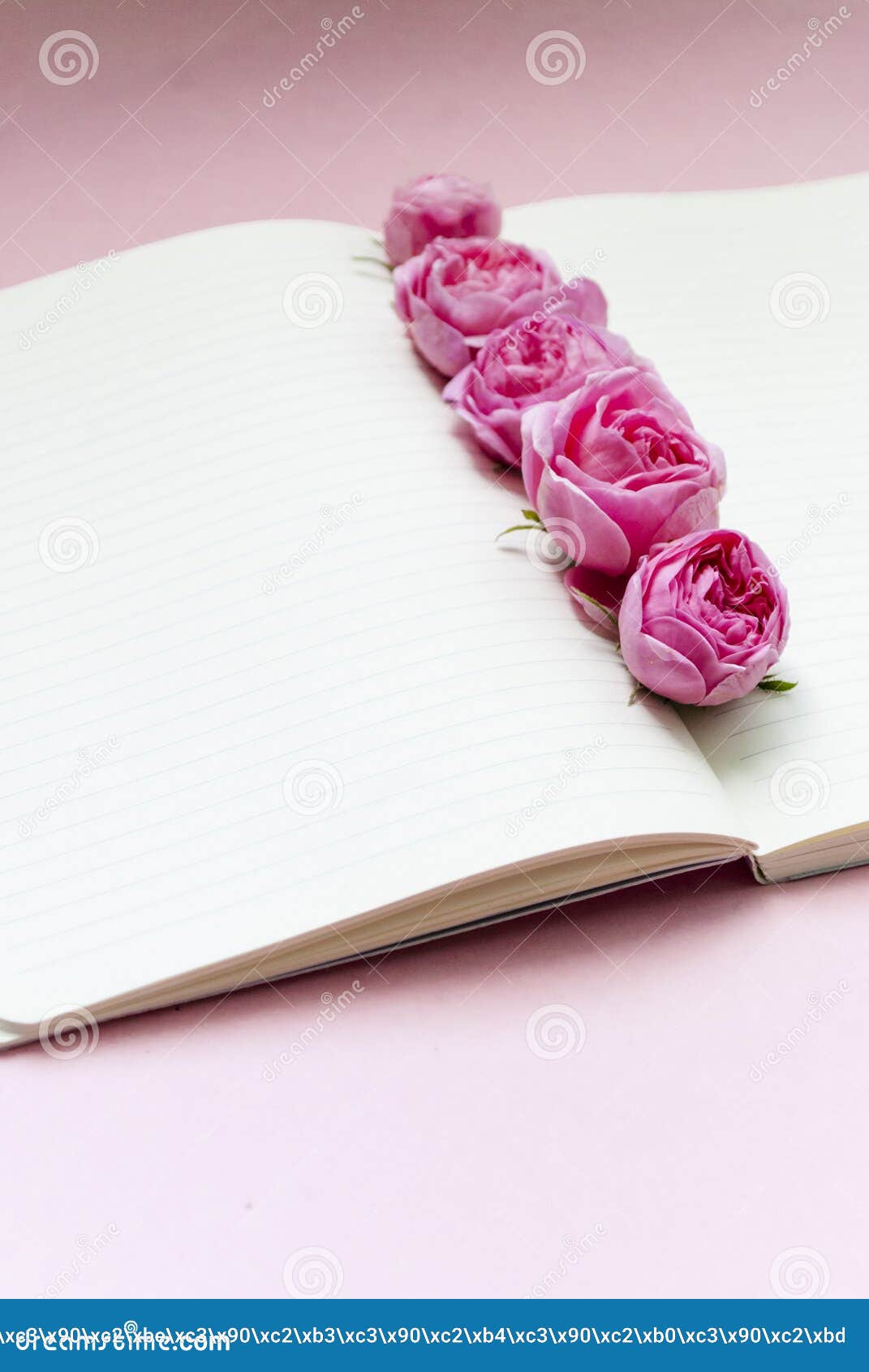 Open Notebook, Flowers Pink Background. Mock Up. Postcard Template ...