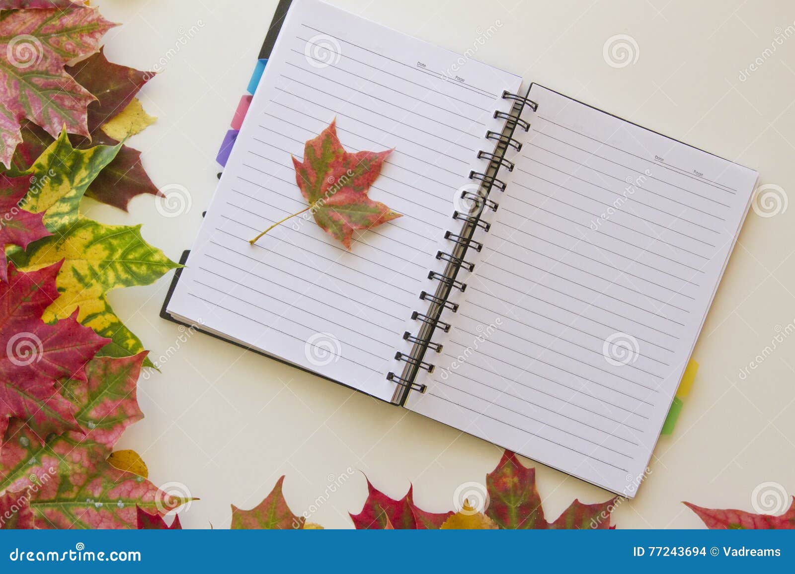Open Notebook, Framed with Autumn Leaves on White Background. Flat Lay ...