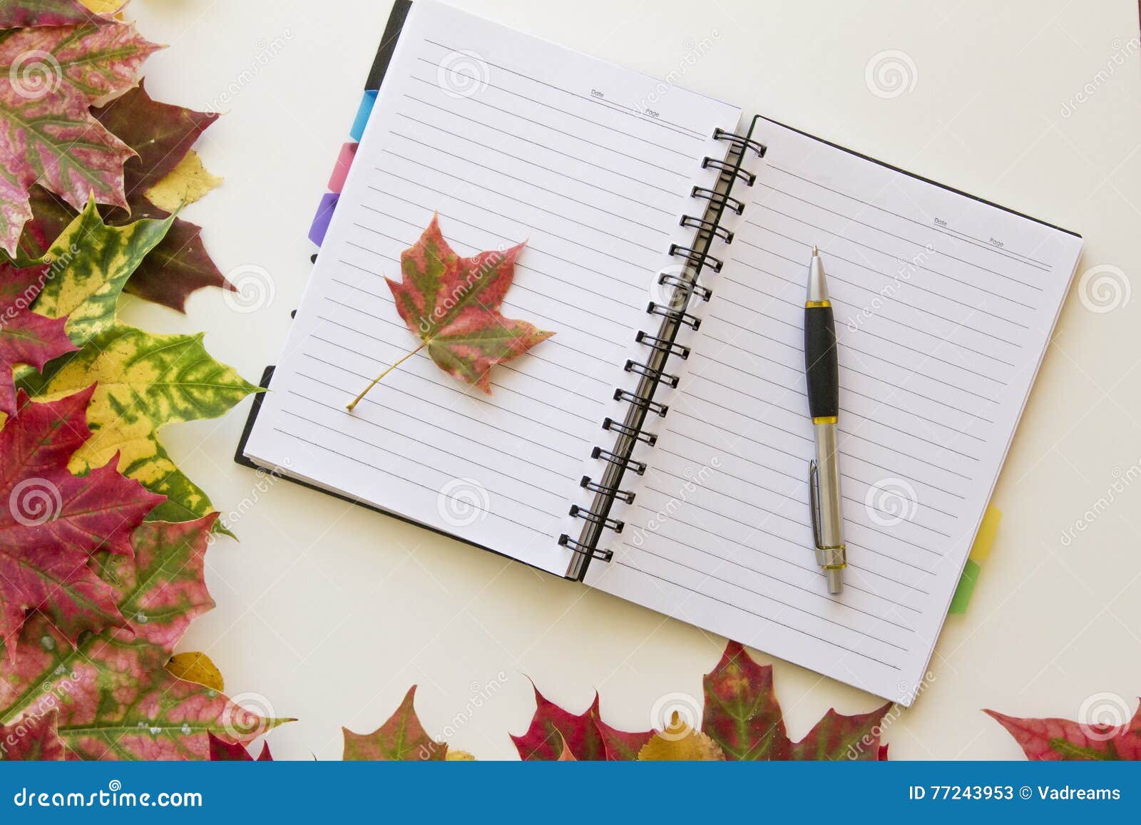 Open Notebook, Framed with Autumn Leaves on White Background. Flat Lay ...