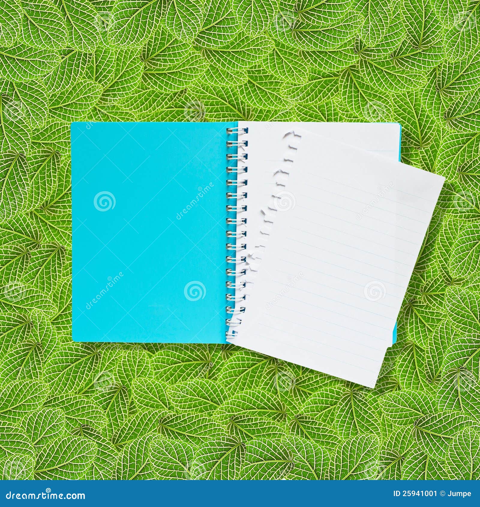 Open Notebook on Green Leafs Stock Image - Image of background, lawn ...