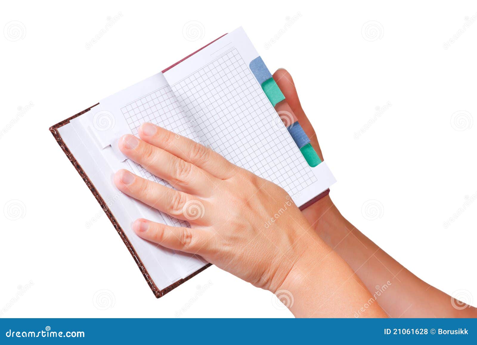 Open notebook in the hands stock photo. Image of book - 21061628