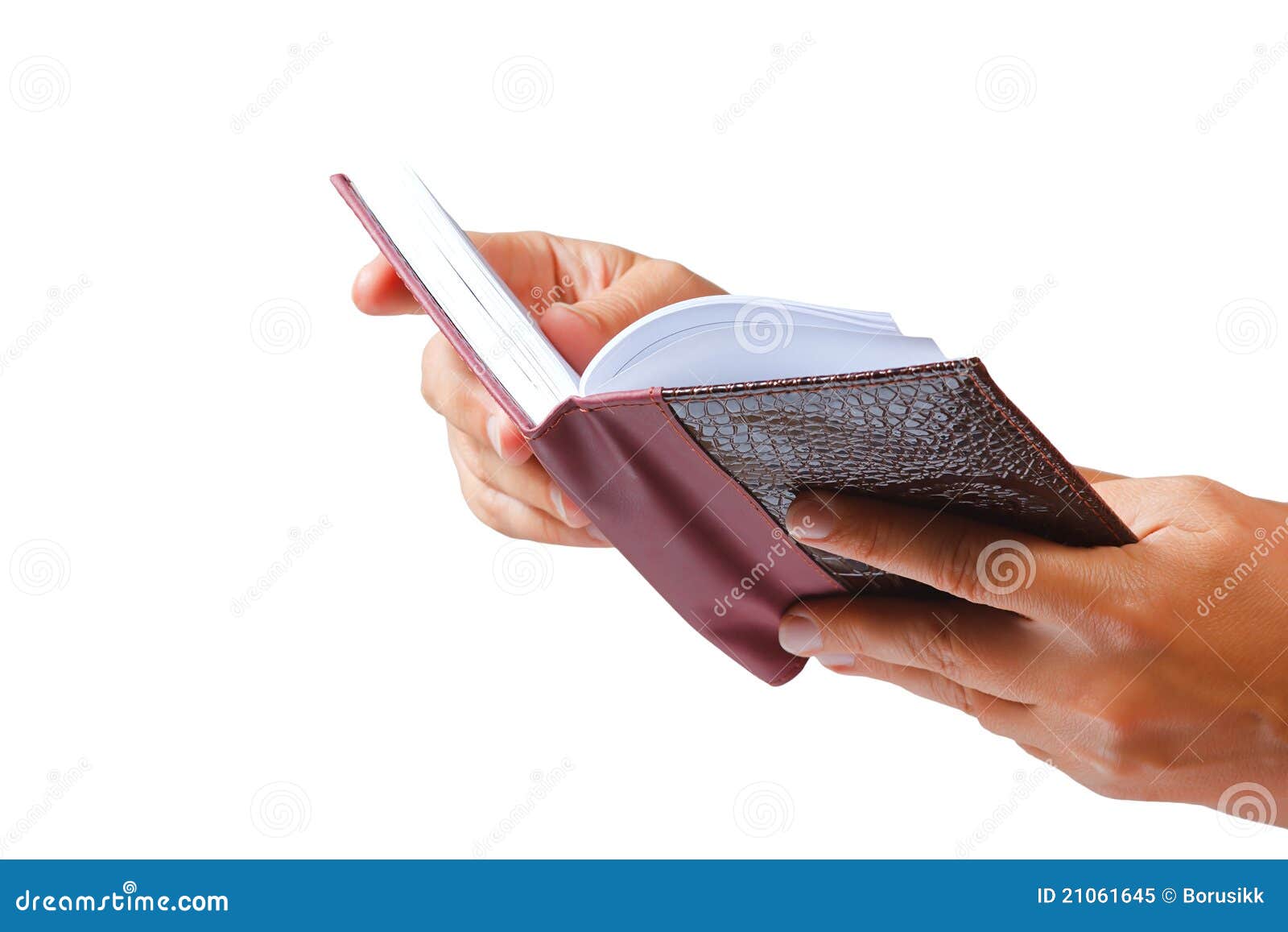 Open notebook in the hands stock image. Image of notice - 21061645