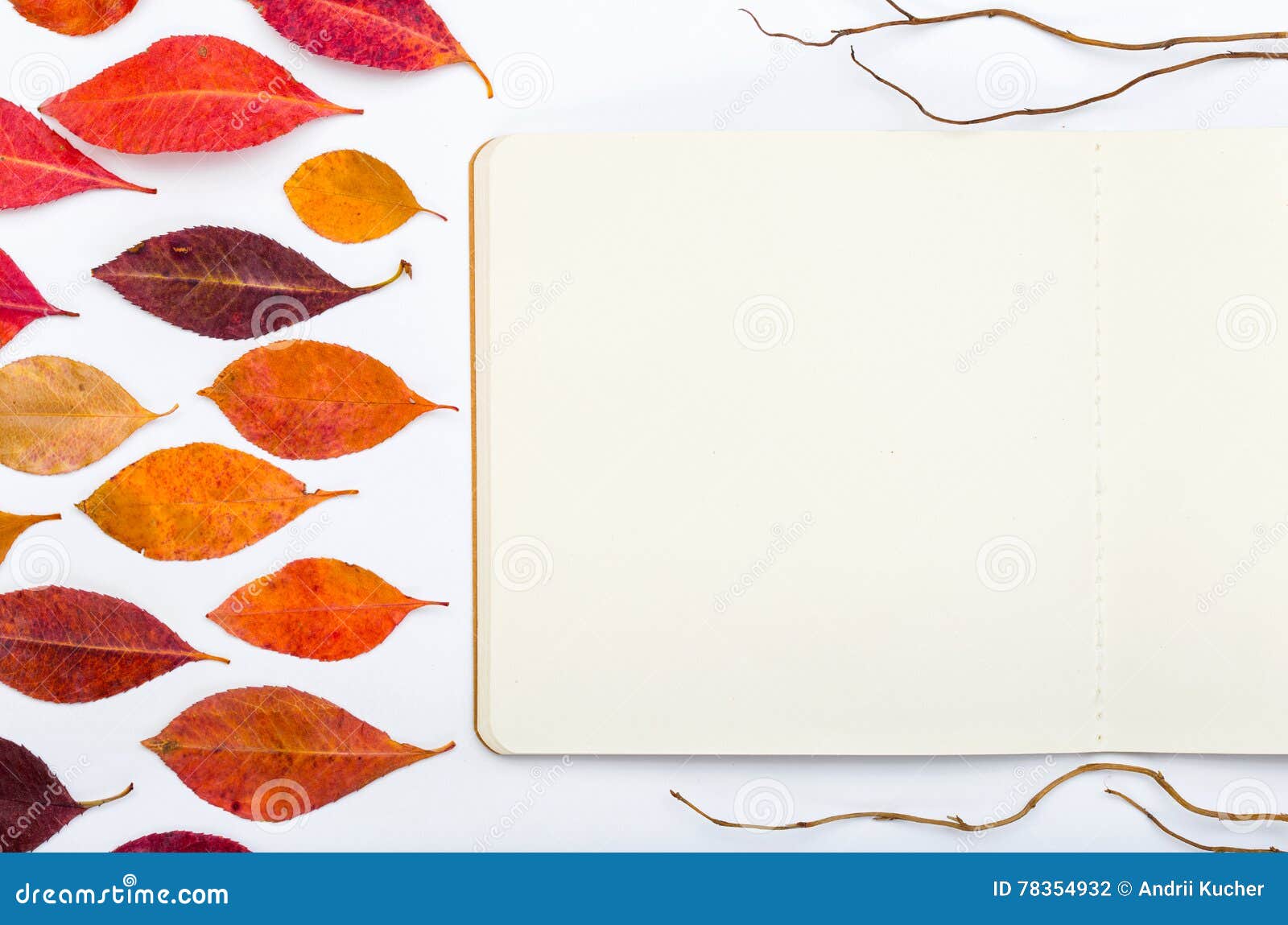 Open Notepad with Autumn Leaves on a White Background Stock Photo ...