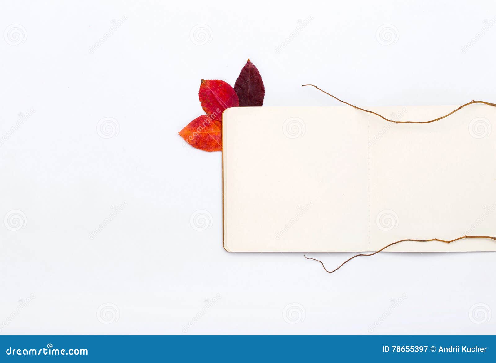 Open Notepad with Autumn Leaves on a White Background Stock Image ...