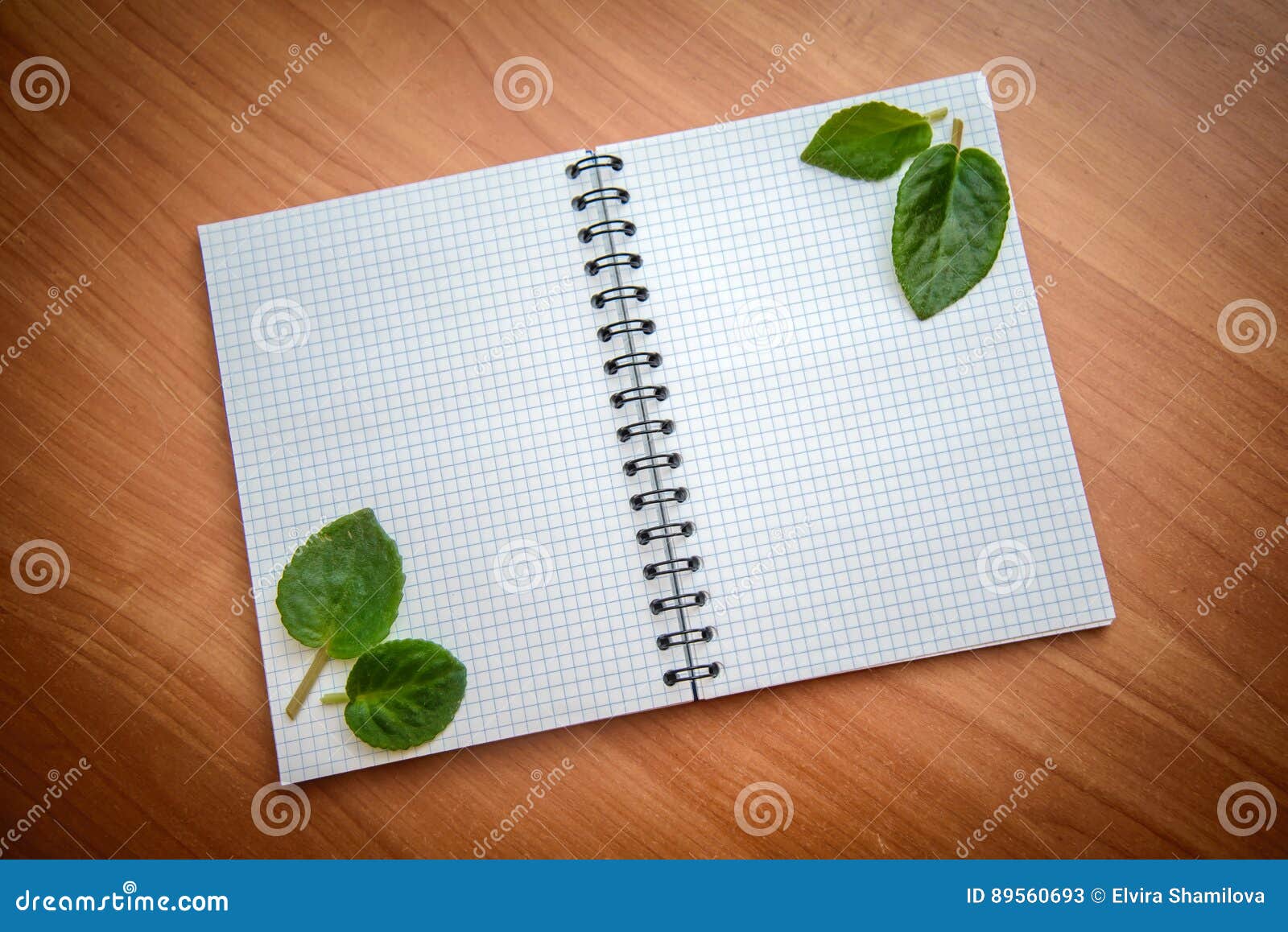 Open Notepad with a Frame of Green Leaves Stock Image - Image of ...