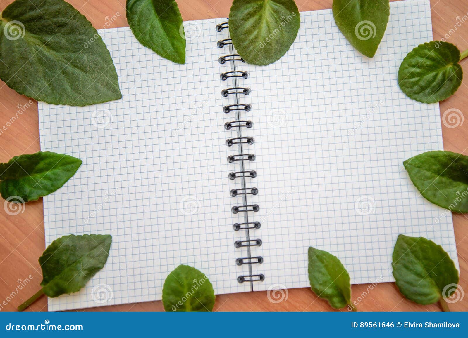 Open Notepad with a Frame of Green Leaves Stock Photo - Image of text ...
