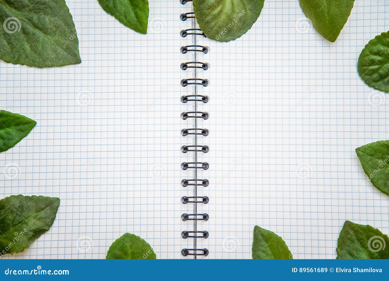 Open Notepad with a Frame of Green Leaves Stock Image - Image of border ...