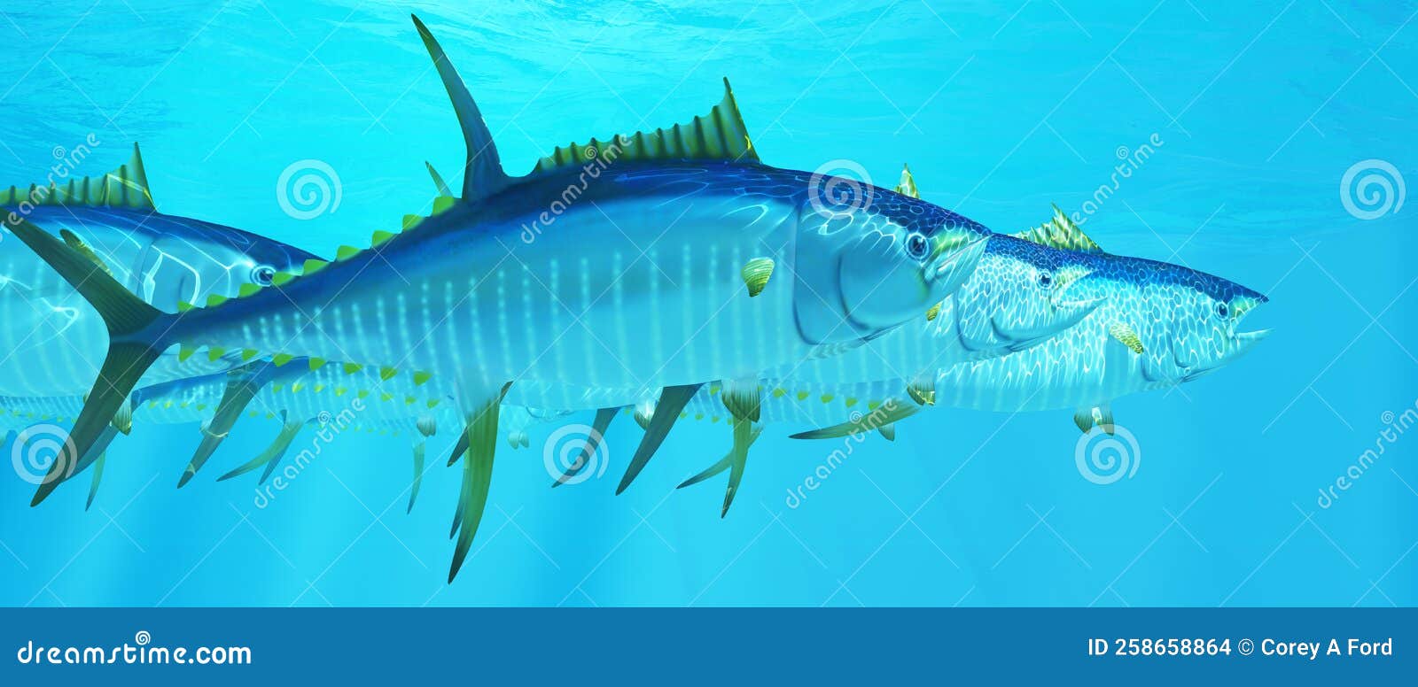 Open Ocean Yellowfin Tuna stock illustration. Illustration of thunnus ...