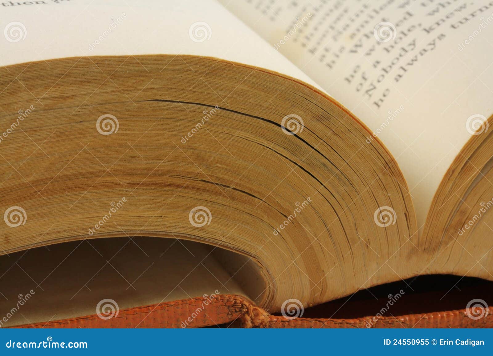 Open Old Book stock image. Image of paper, publishing - 24550955
