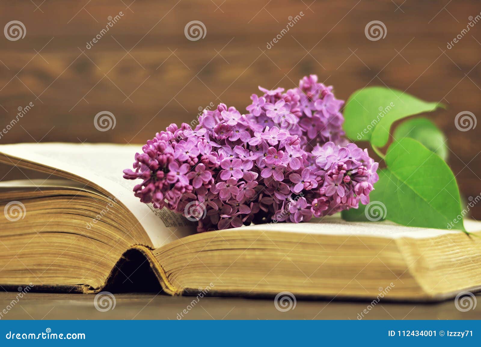Open old book and flower stock image. Image of nature - 112434001