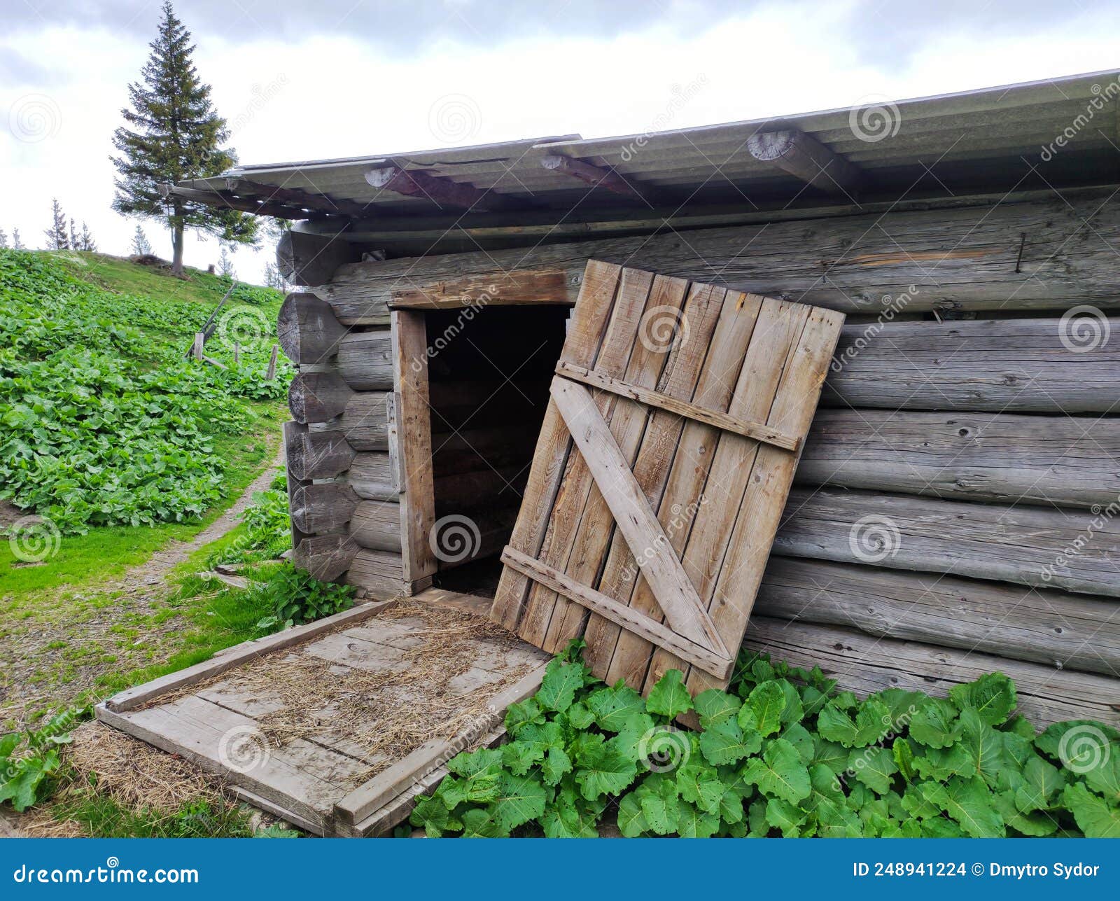 Open Old Door in Wooden Barn Background Stock Photo - Image of black ...