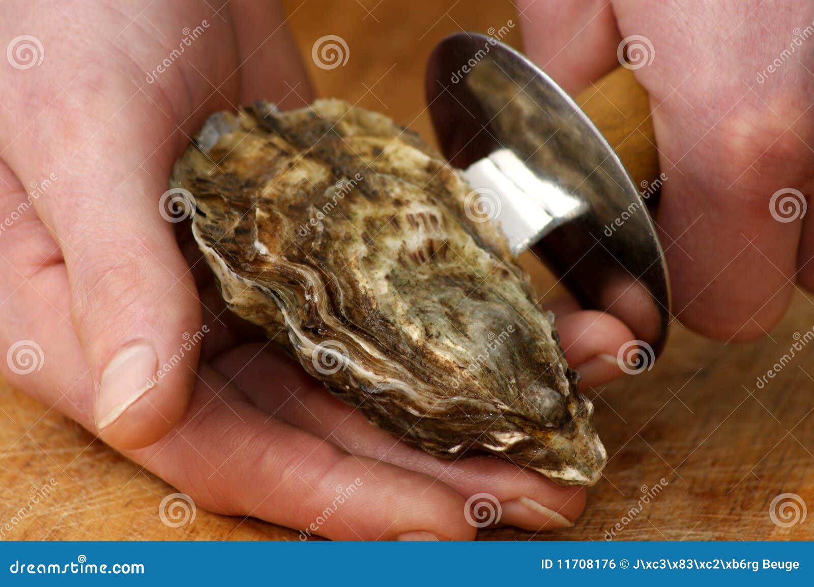 Open One Raw Organic Oyster Stock Photo - Image of delicious, dieting ...