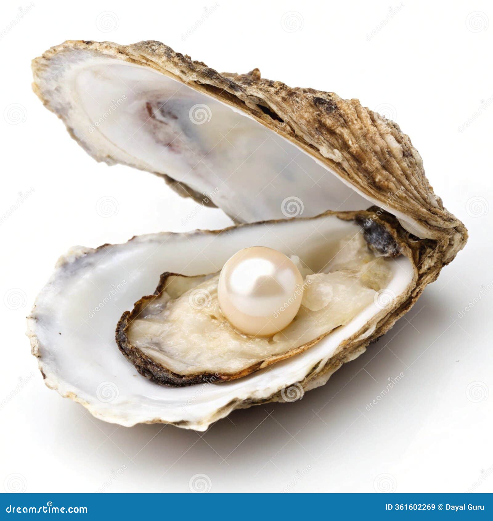 Open Oyster Close-up On Black Background, Open French Oyster. Healthy ...