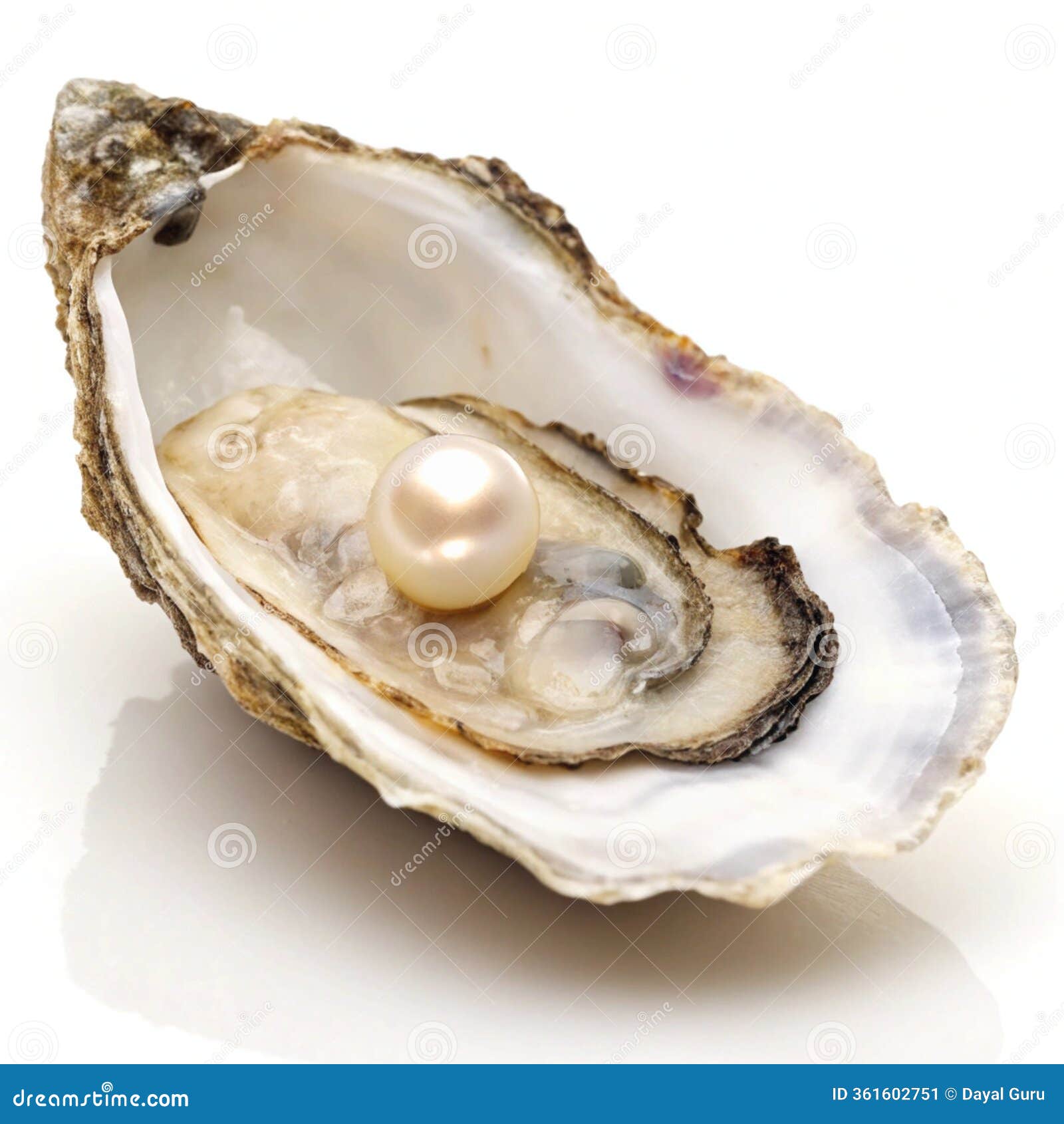 Open Oyster Close-up On Black Background, Open French Oyster. Healthy ...