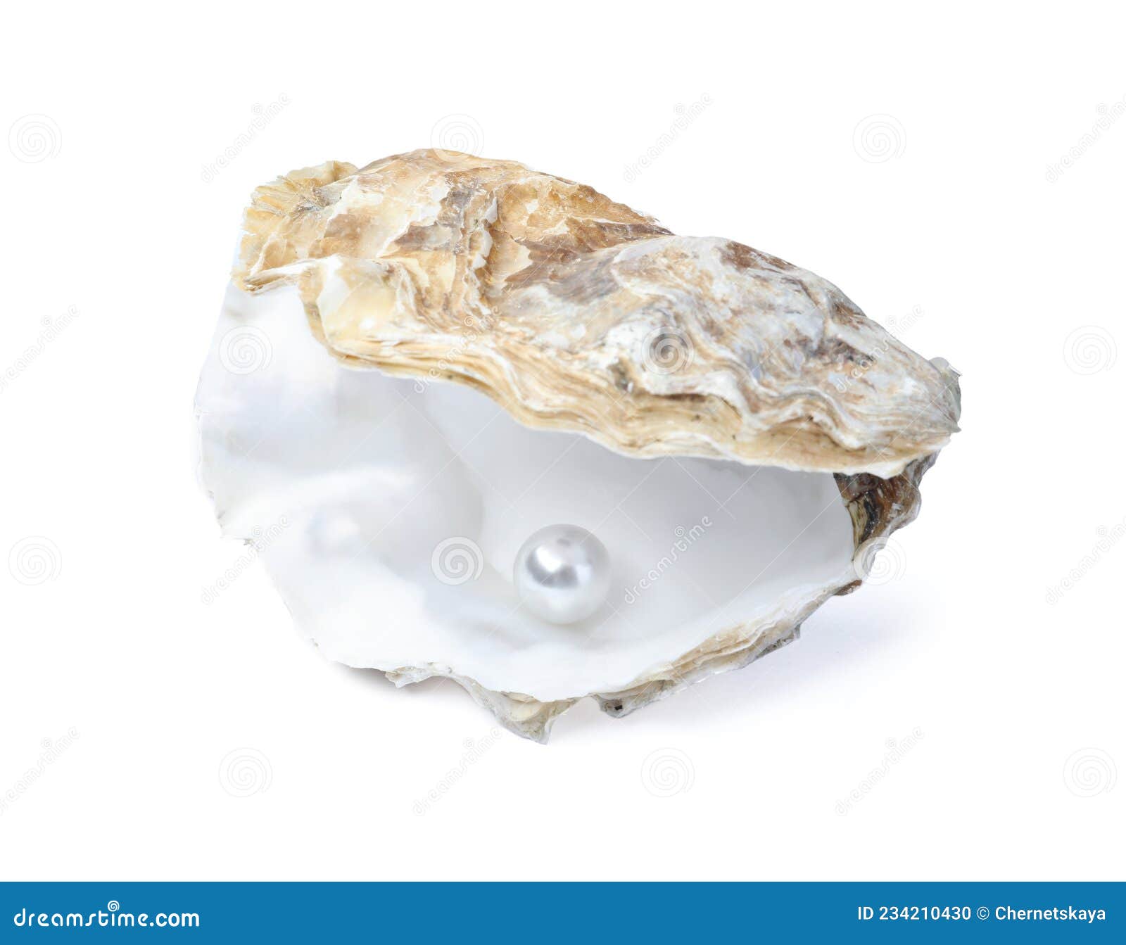 Open Oyster with Pearl Isolated on White Stock Photo - Image of color ...
