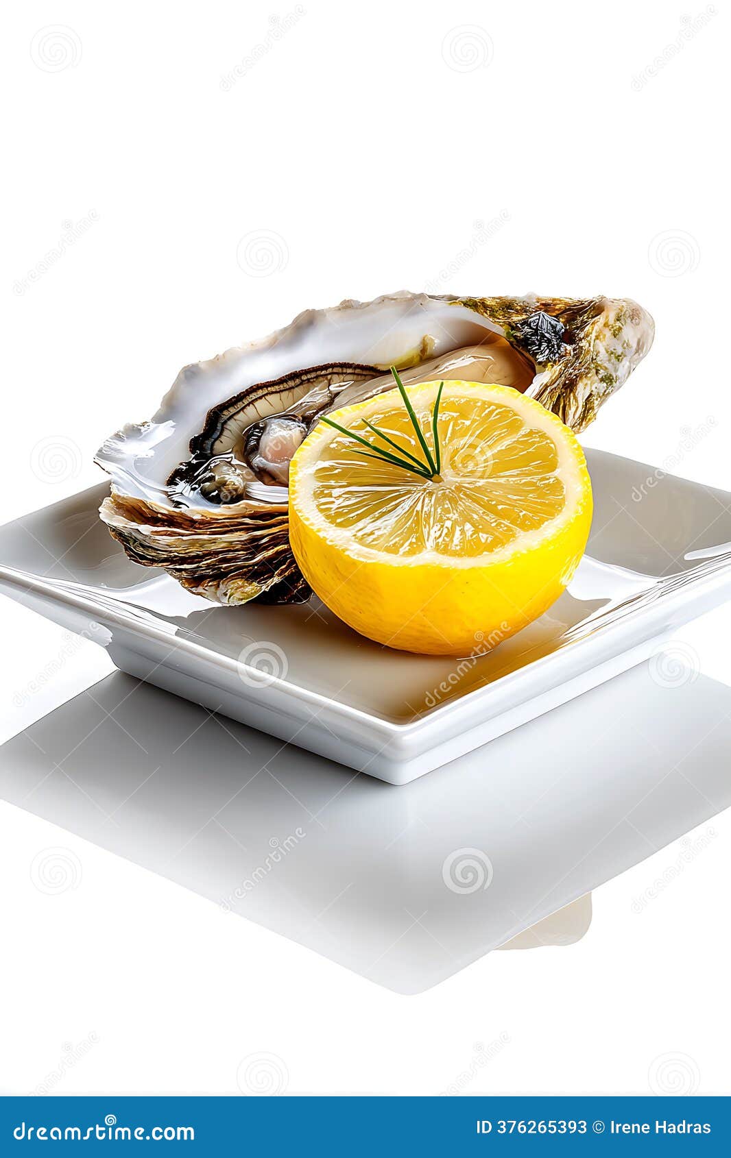 An Open Oyster Shows Its Smooth Shell And Soft Body, Highlighting ...