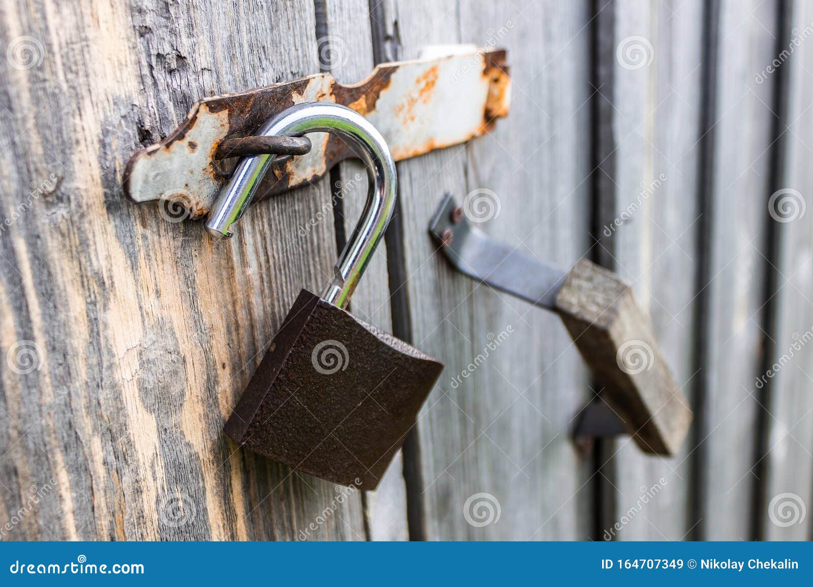 An Open Padlock Hanging from the Doors of an Old Wooden Barn Stock ...