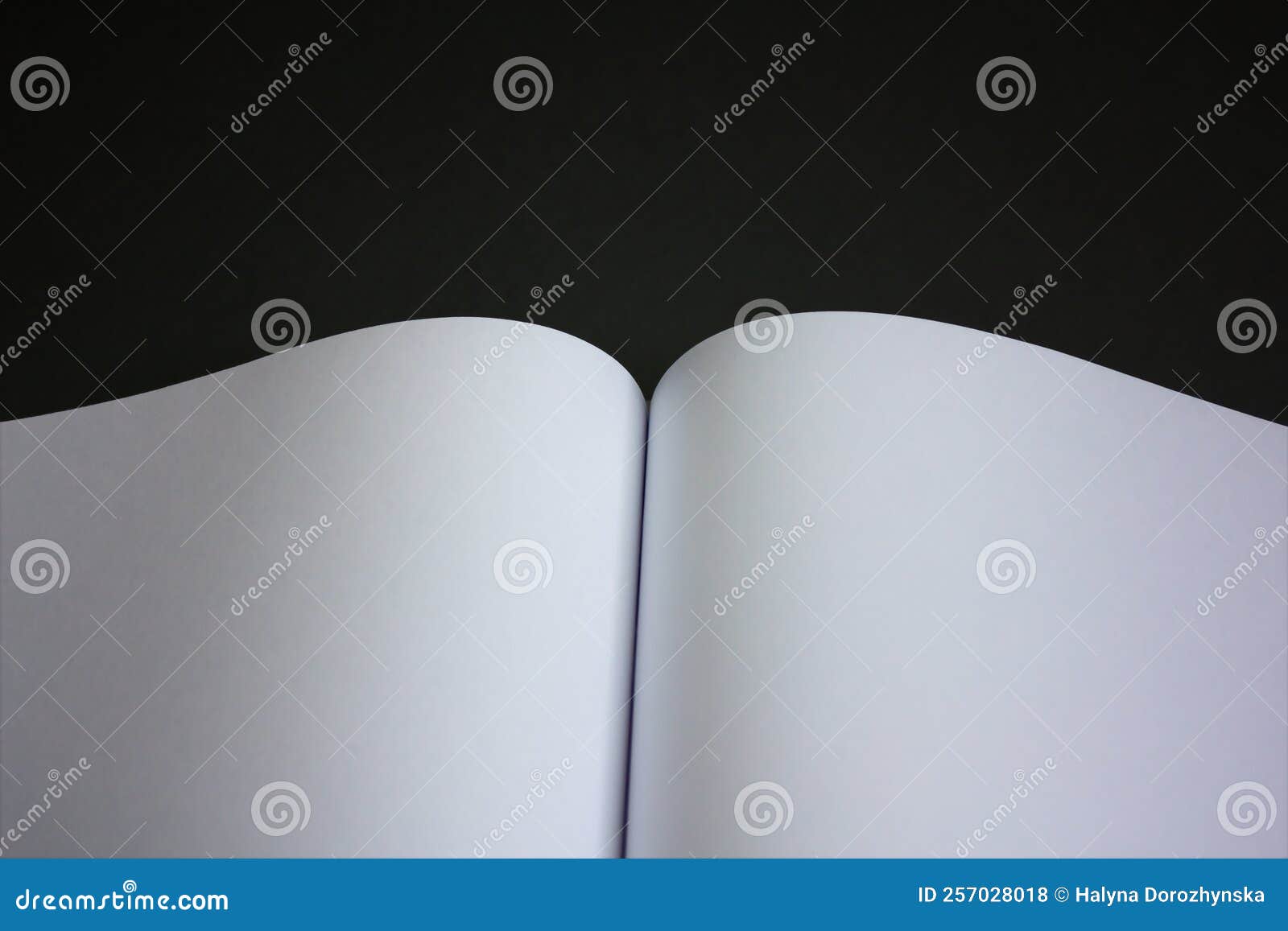 Open Page on a Black Background. Abstract Background Stock Photo ...