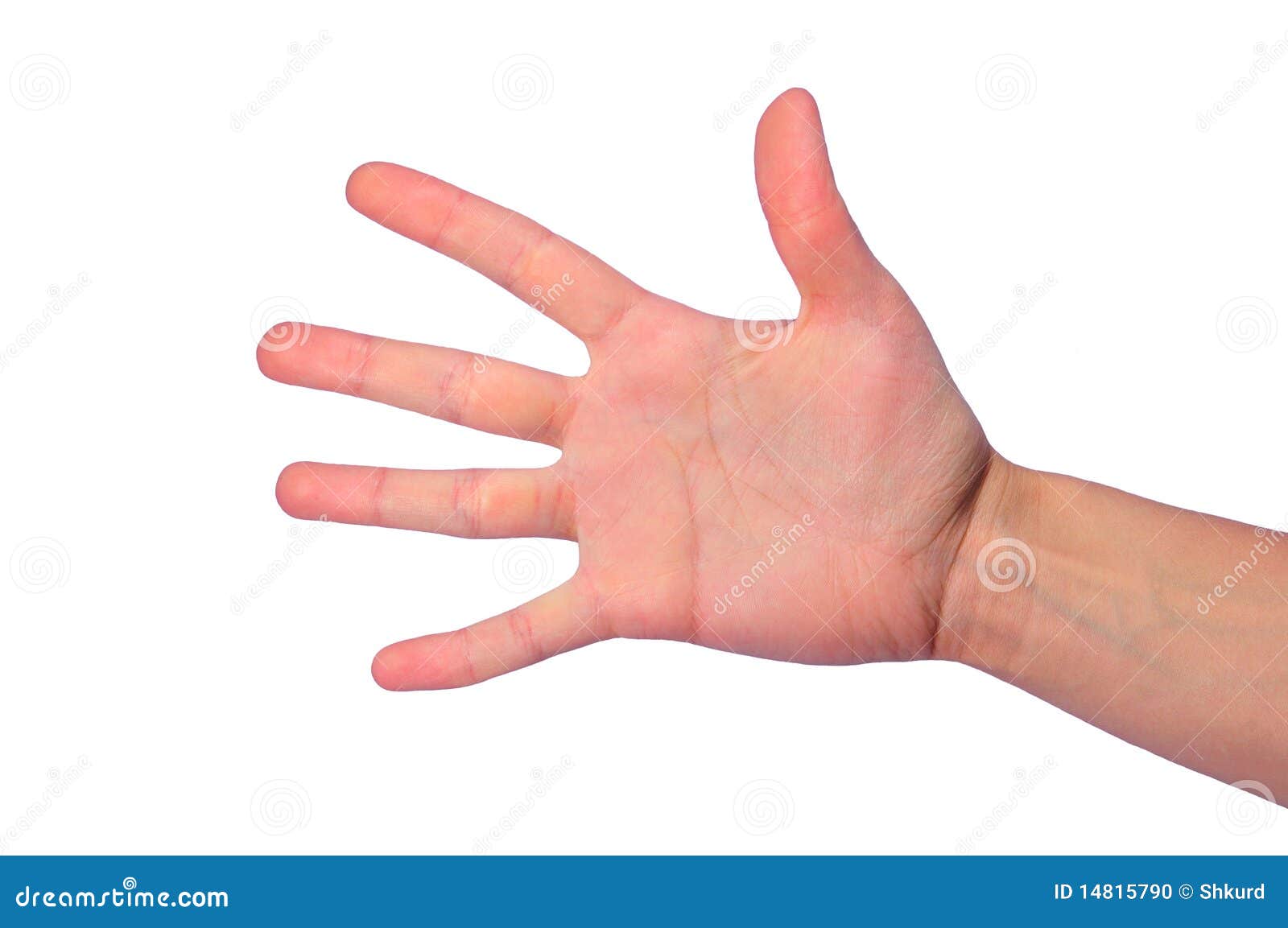 Open palm stock photo. Image of color, body, open, finger - 14815790