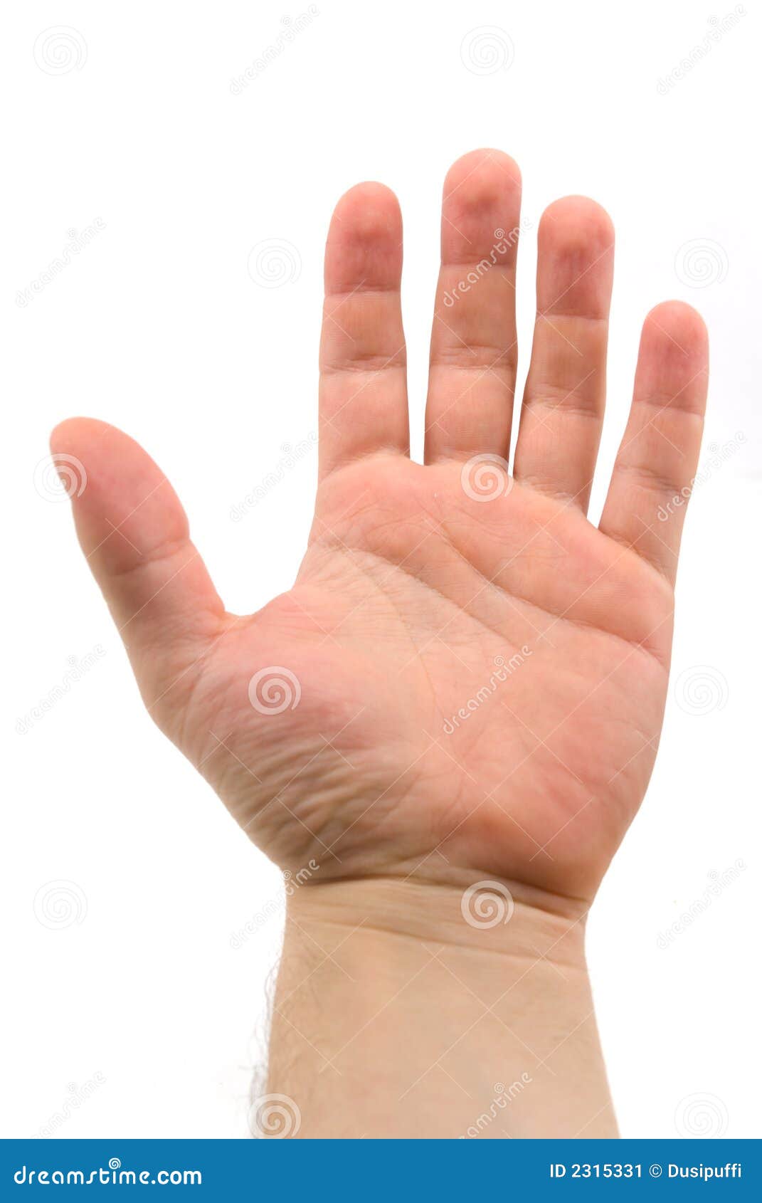 Open palm stock image. Image of palm, concept, closeup - 2315331